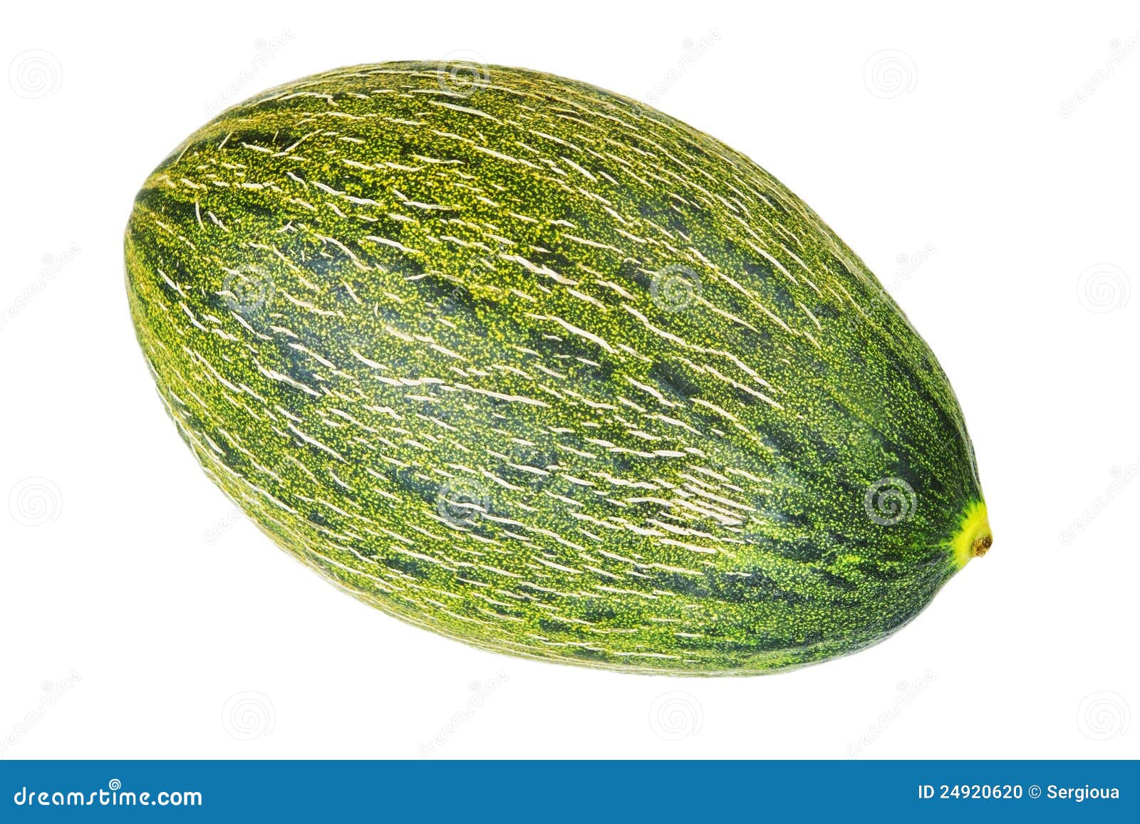 Frutta Tropicale, Melone Verde. Fotografia Stock - Immagine di traversa ...