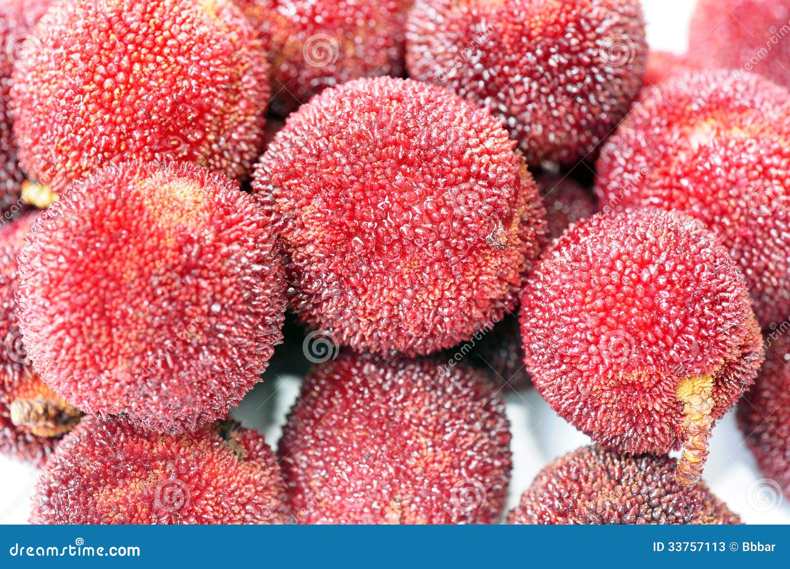 Frutti rossi del bayberry immagine stock. Immagine di cinese - 33757113