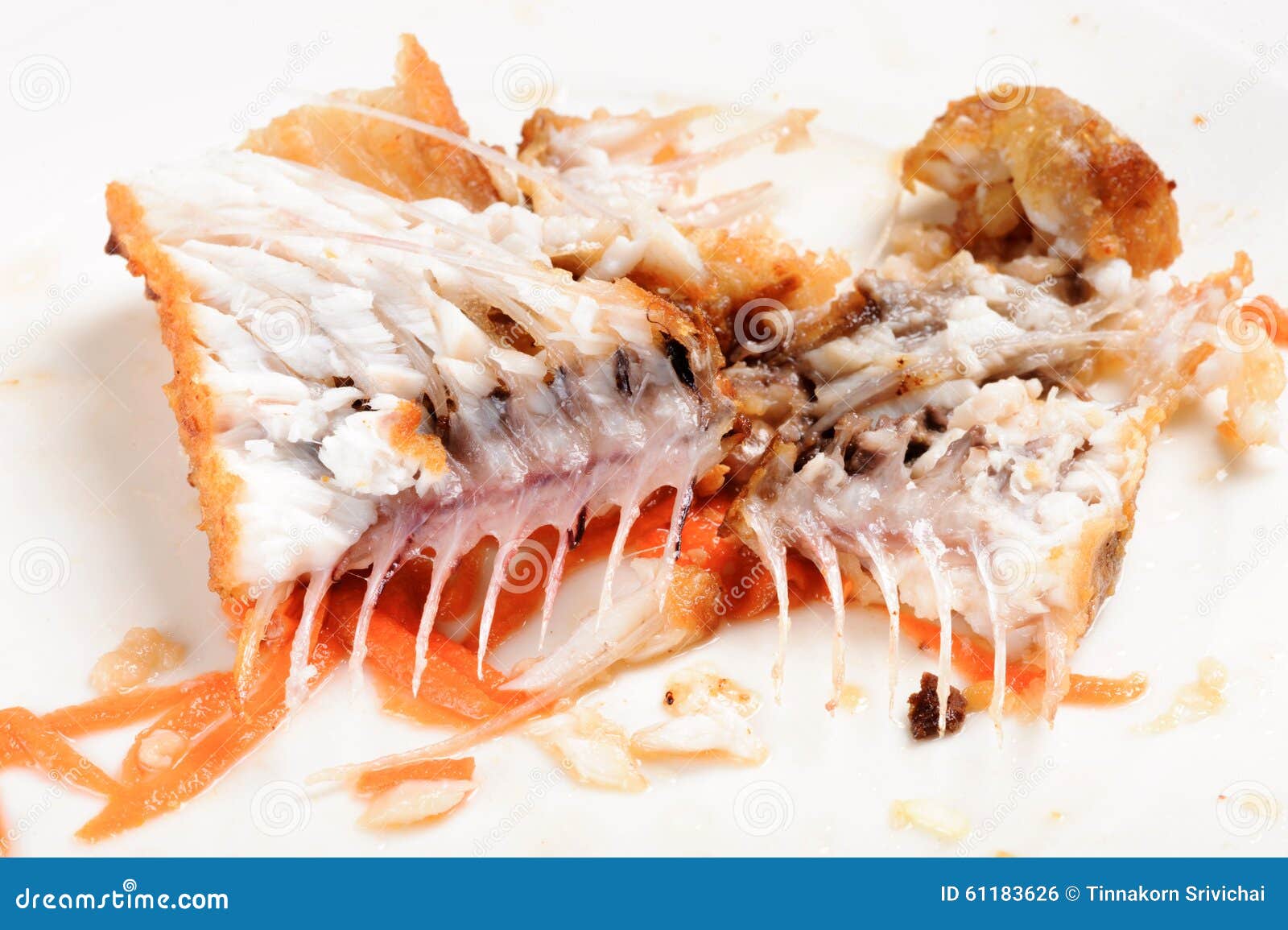 Fry fish bone stock photo. Image of cooking, hard, food - 61183626