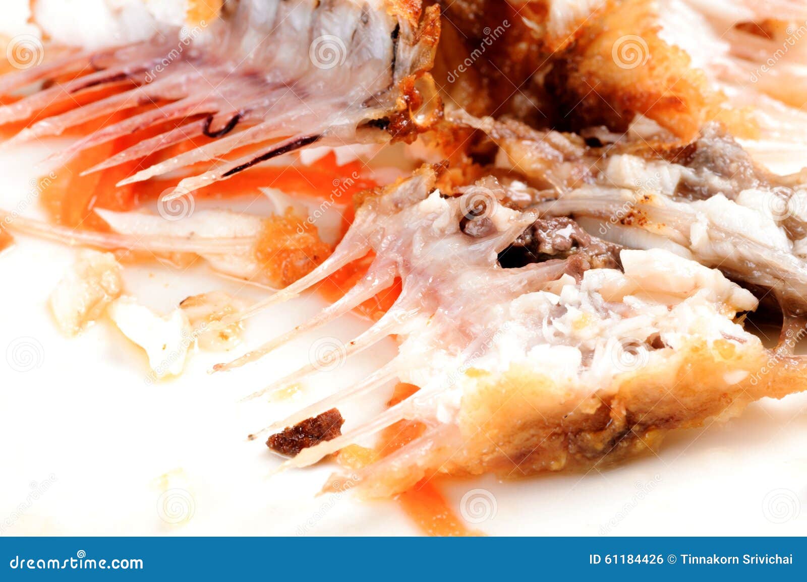 Fry fish bone stock photo. Image of bone, food, cooking - 61184426