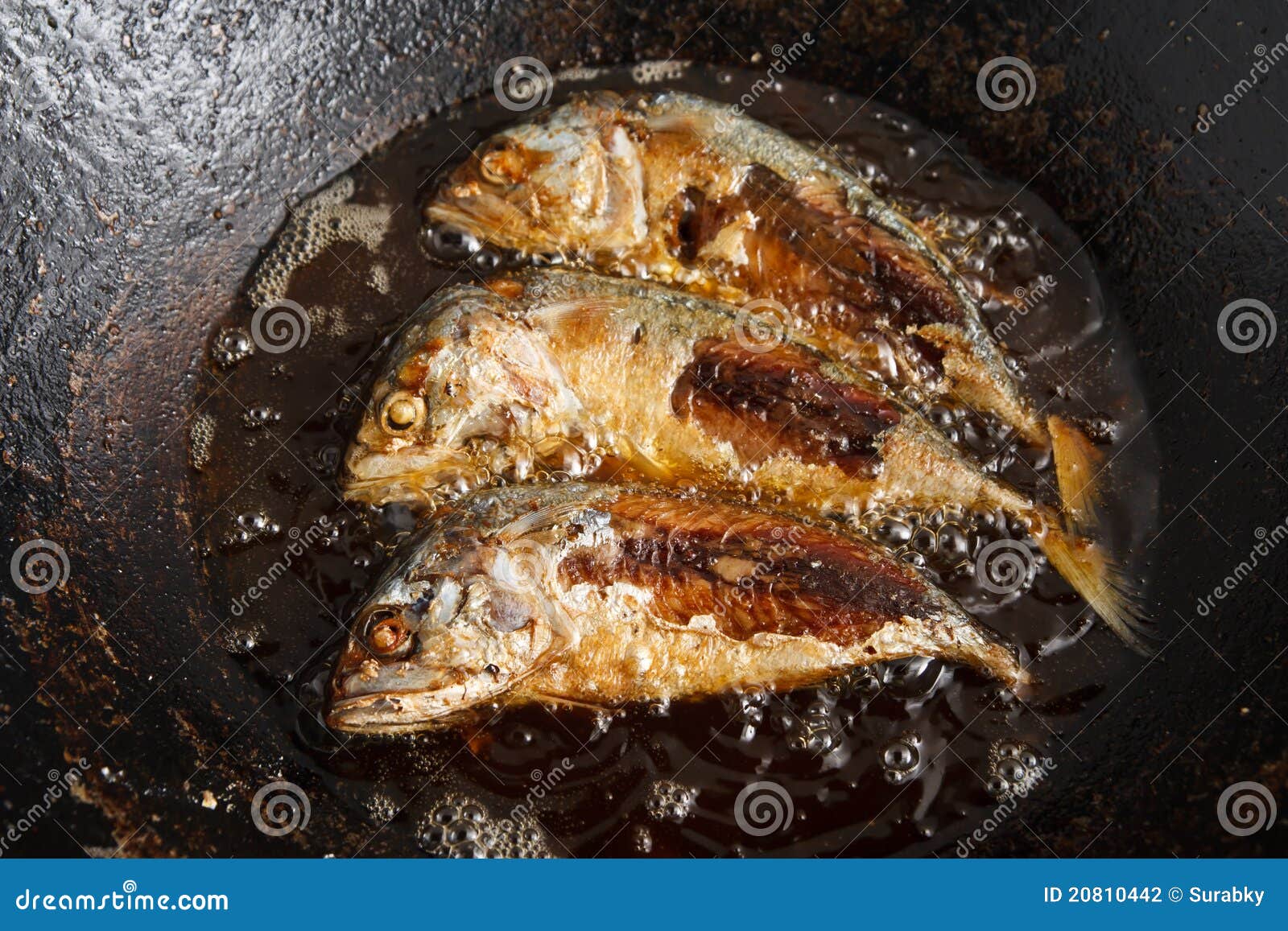 Frying fish stock photo. Image of prepared, boil, lunch - 20810442