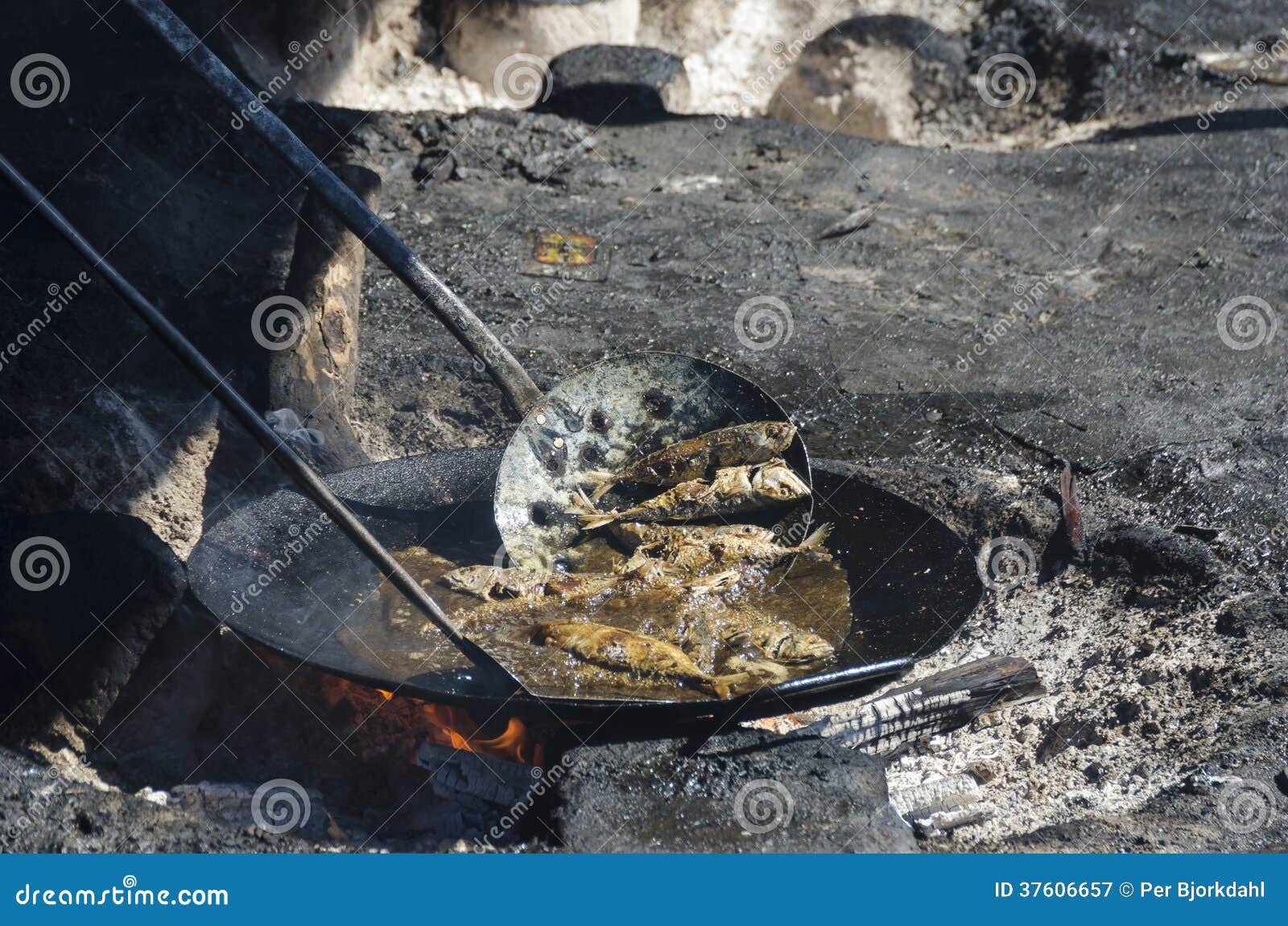 Frying fish stock image. Image of frying, fryingpan, bagamoyo - 37606657