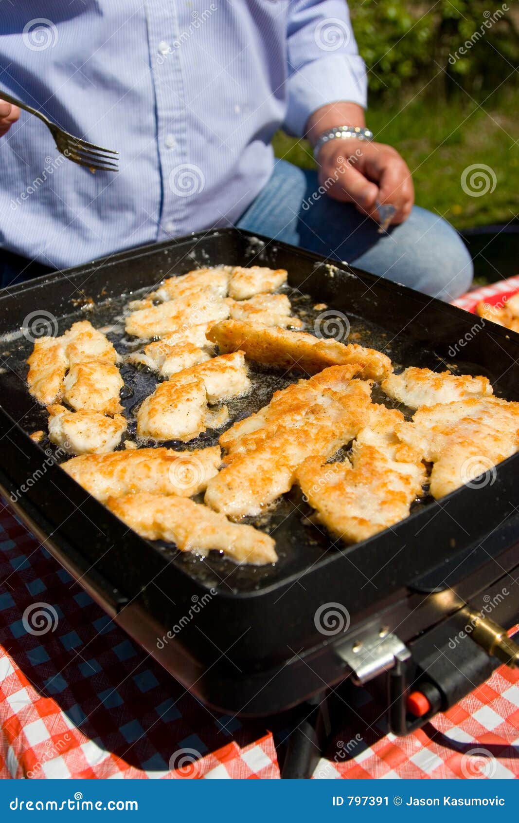 Frying Fish stock image. Image of camping, cooking, filet - 797391
