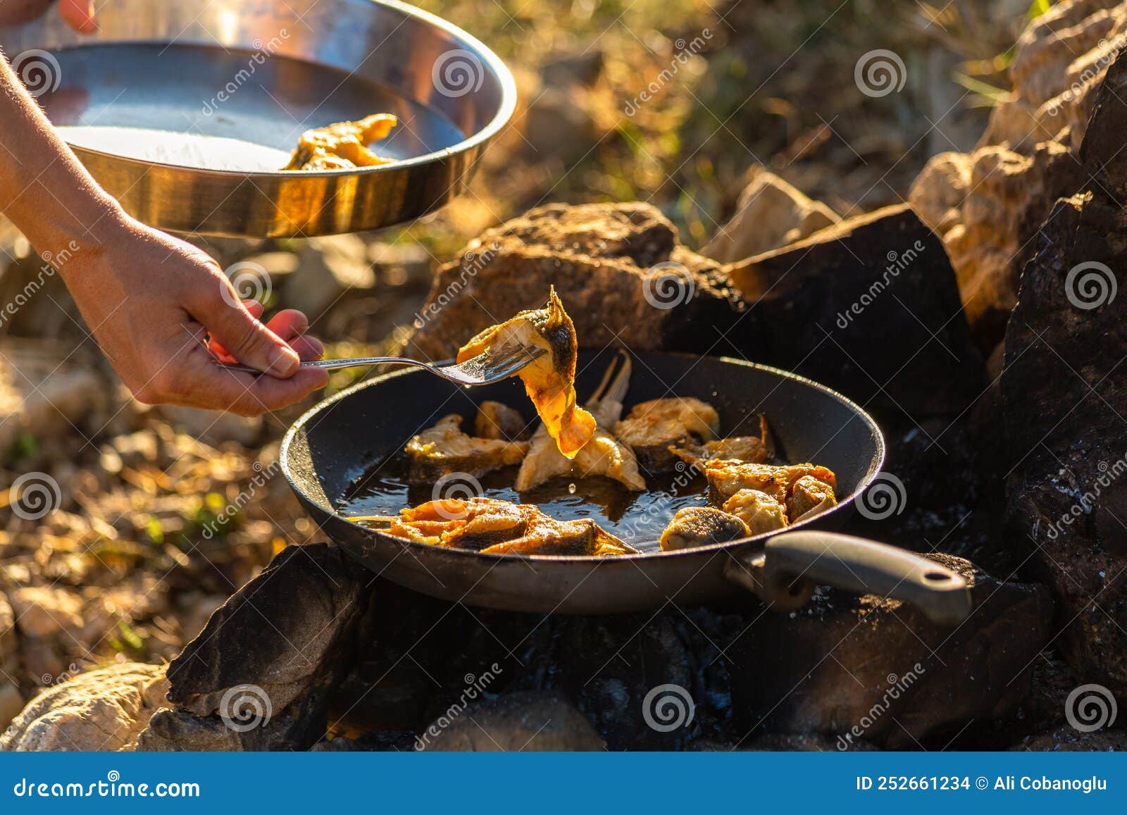 Frying Fish in Oil in a Pan in the Camp Stock Photo - Image of cuisine ...