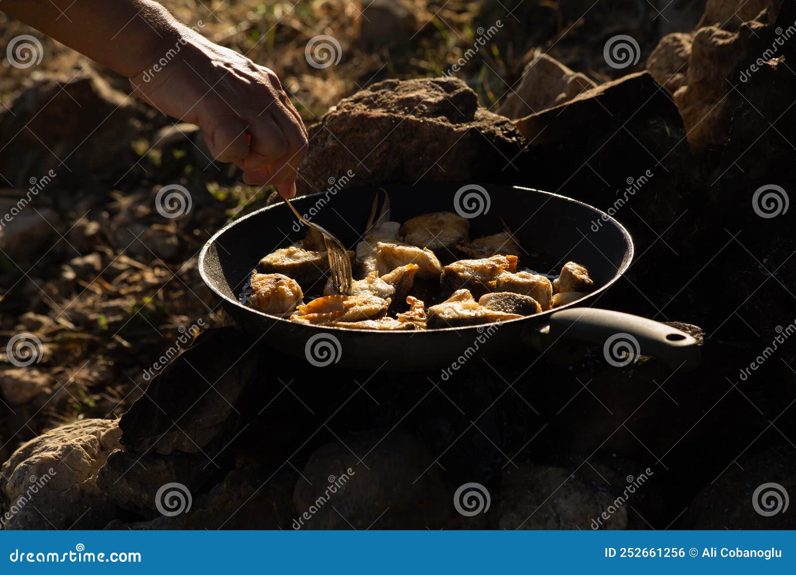 Frying Fish in Oil in a Pan in the Camp Stock Photo - Image of macro ...