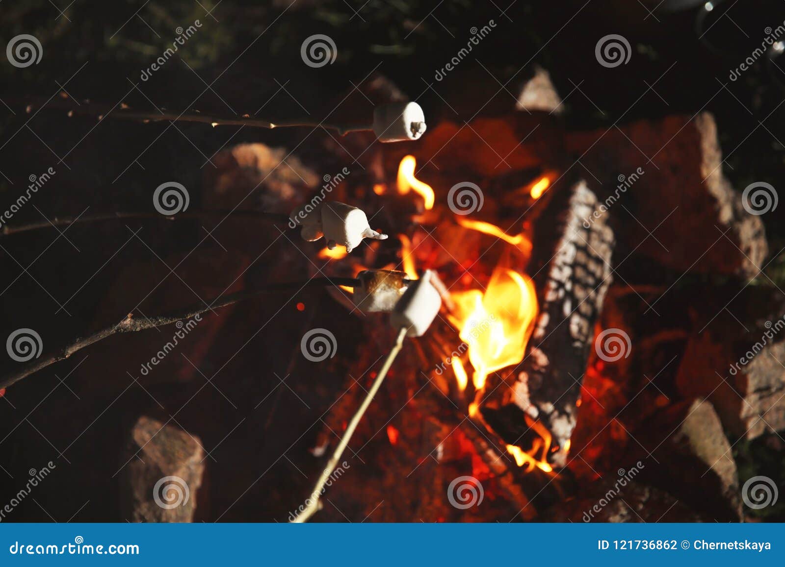 Frying Marshmallows on Bonfire at Night, Closeup. Stock Photo - Image ...