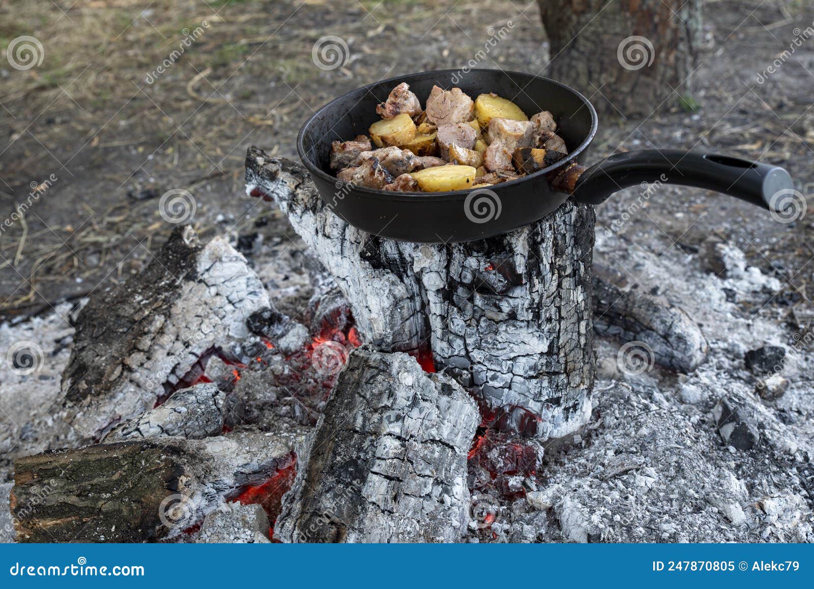 A Frying Pan on a Fire with Meat and Potatoes on a Picnic in the Forest ...