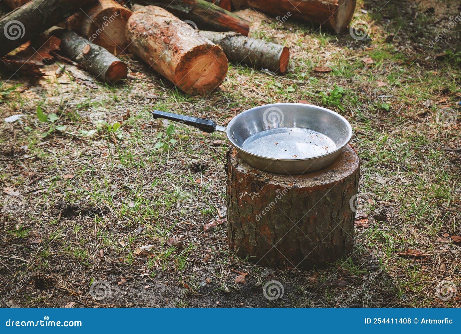 Frying Pan Standing on Tree Log on Grass with Visible Cut Tree Trunks ...