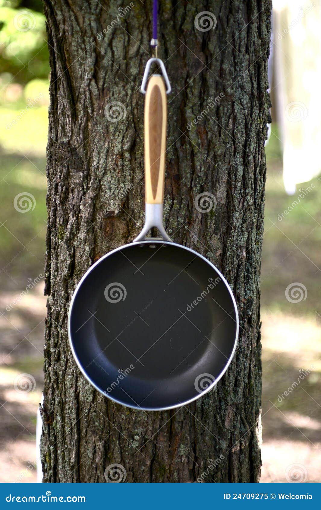 Frying Pan on Tree stock image. Image of camp, fried - 24709275