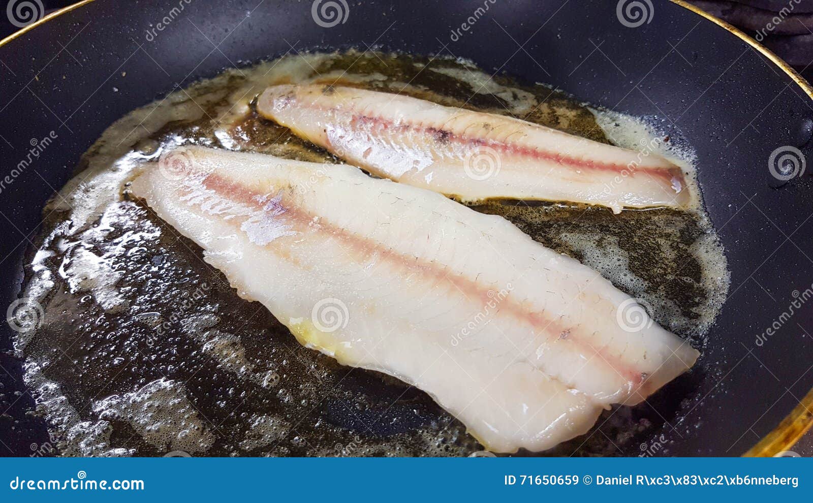 Frying zander fillets stock image. Image of lemon, prepared - 71650659