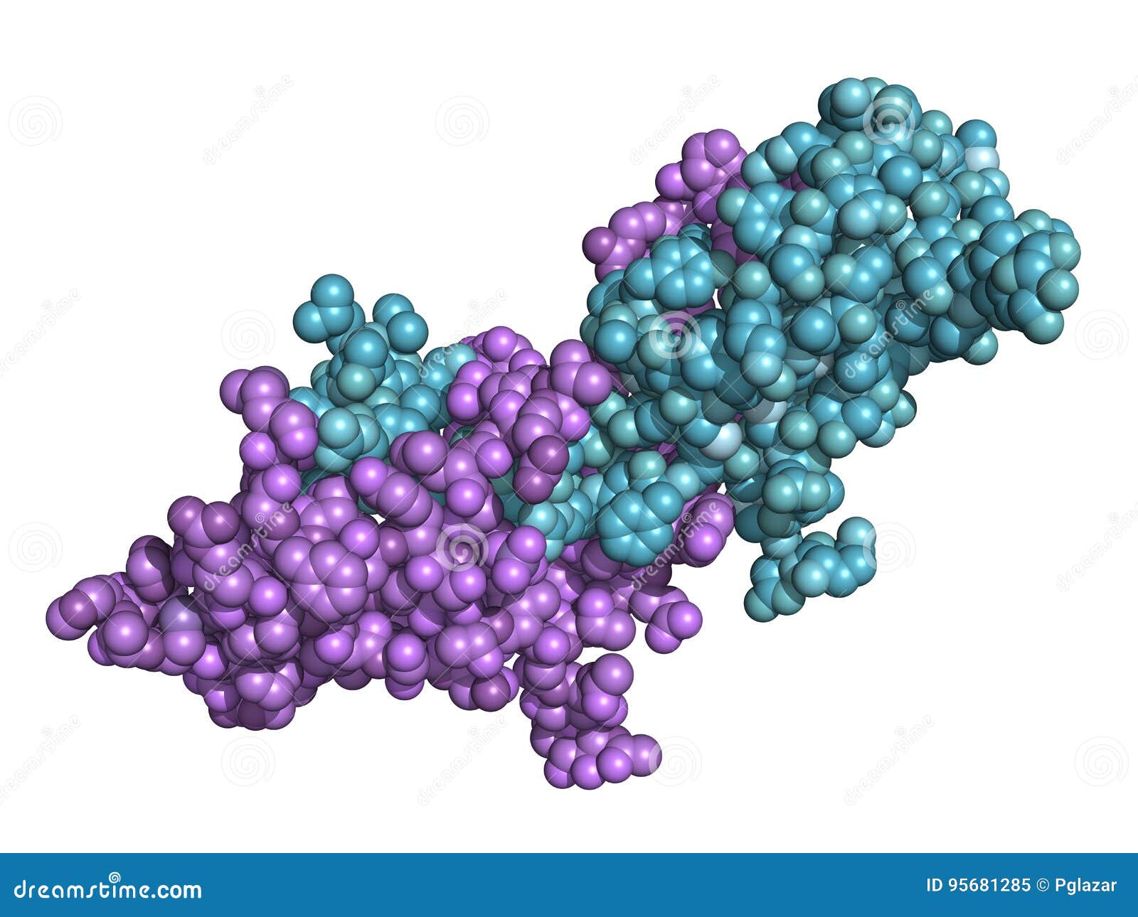 FSH molecule stock illustration. Illustration of blood - 95681285