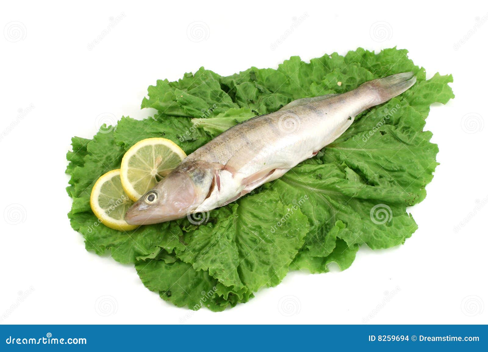 Fsih stock photo. Image of isolated, gilt, salad, fresh - 8259694