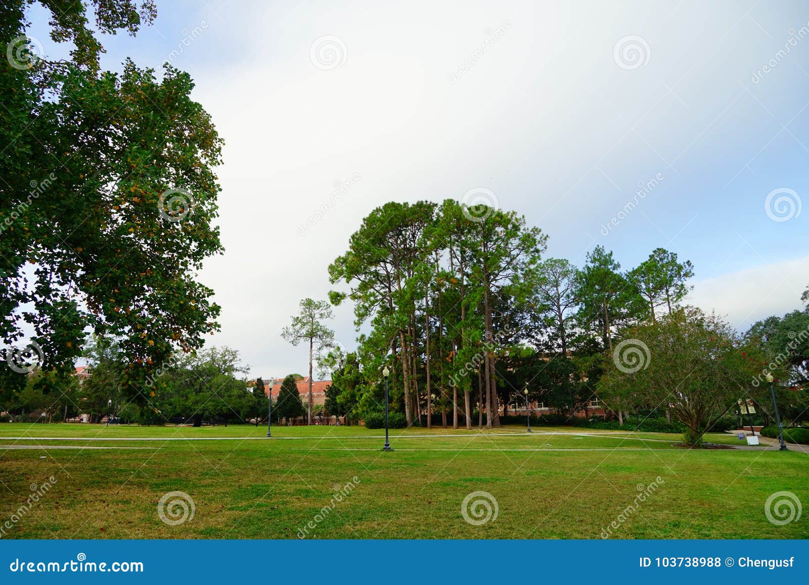 FSU campus landscape editorial stock photo. Image of green - 103738988