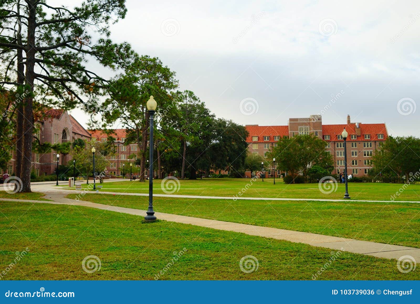 FSU campus landscape stock photo. Image of palm, academic - 103739036