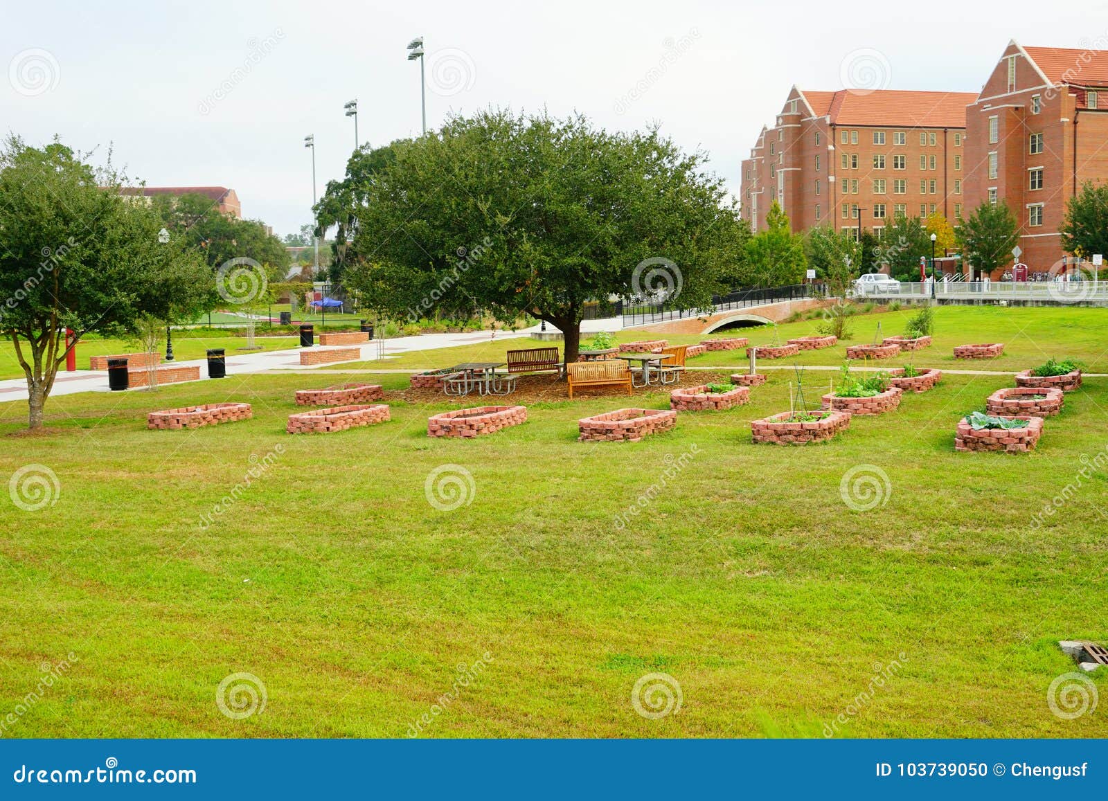 FSU campus landscape stock photo. Image of beautiful - 103739050