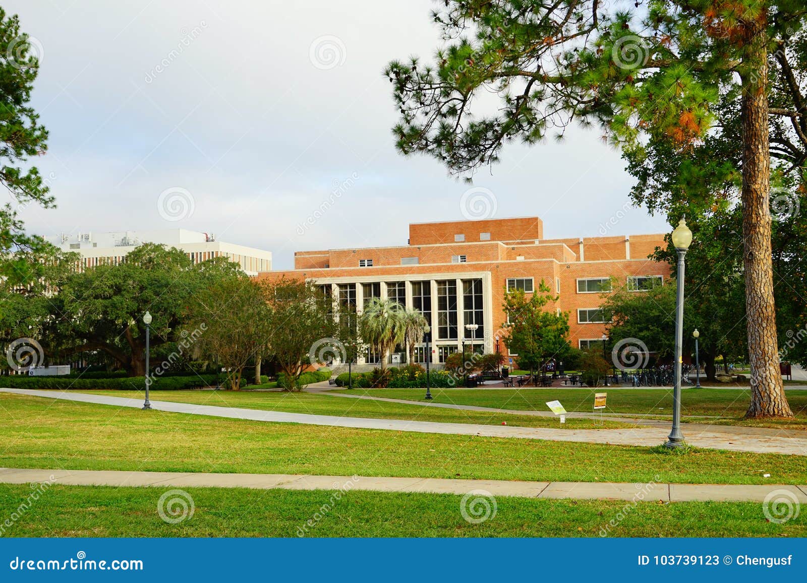 FSU campus landscape stock image. Image of palm, school - 103739123
