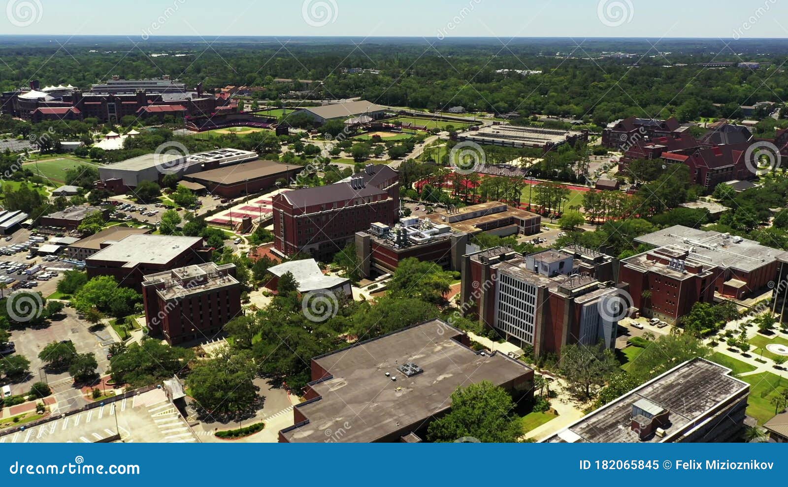 FSU Campus Tallahassee FL USA Stock Video - Video of footage ...
