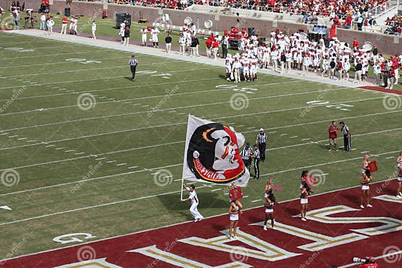 FSU Seminole Flag editorial photo. Image of south, fans - 21965471