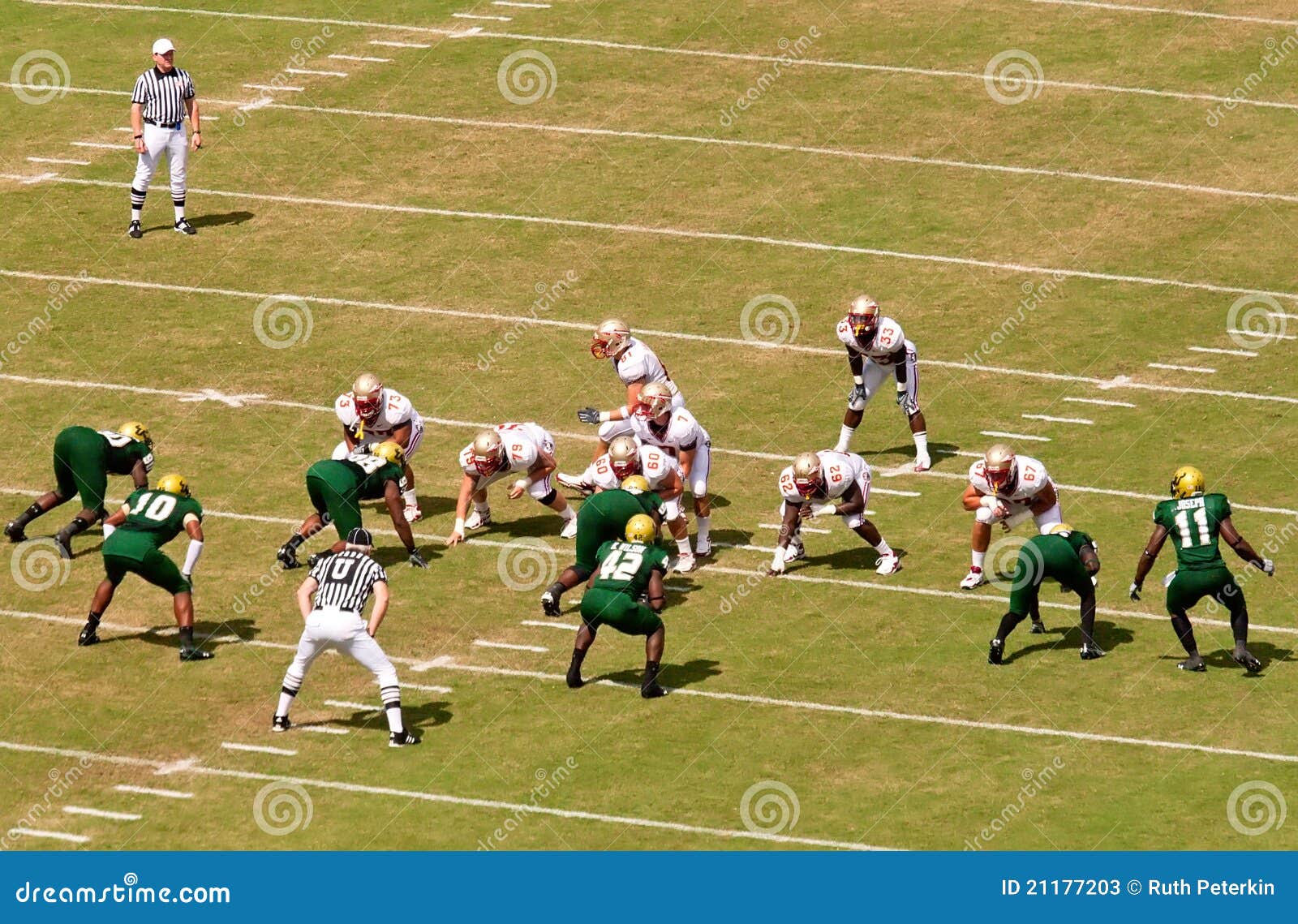 FSU vs USF Football Game editorial stock photo. Image of florida - 21177203