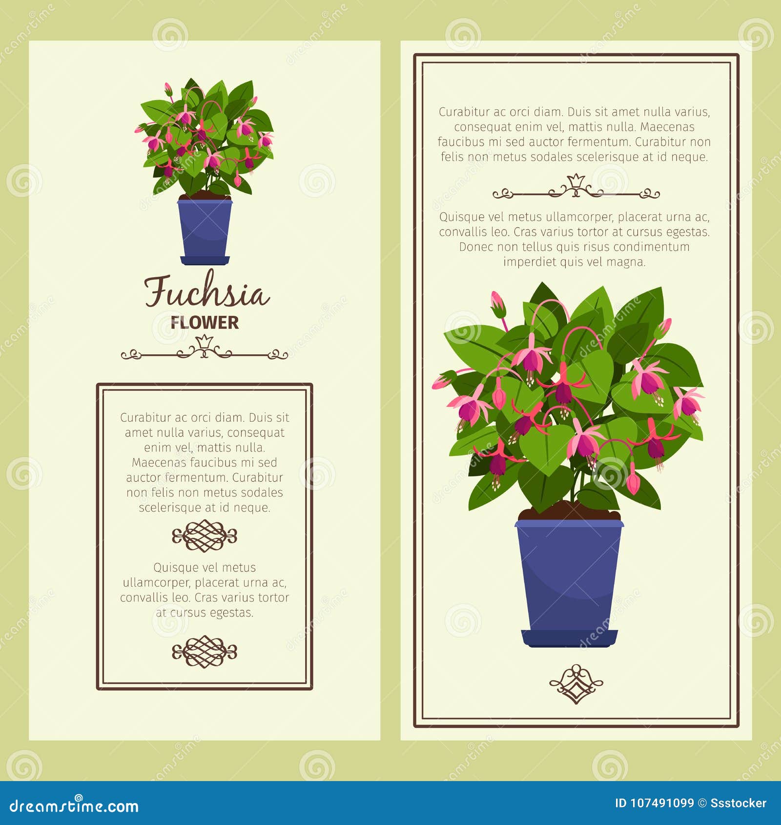 Fuchsia Flower in Pot Banners Stock Vector - Illustration of bright ...