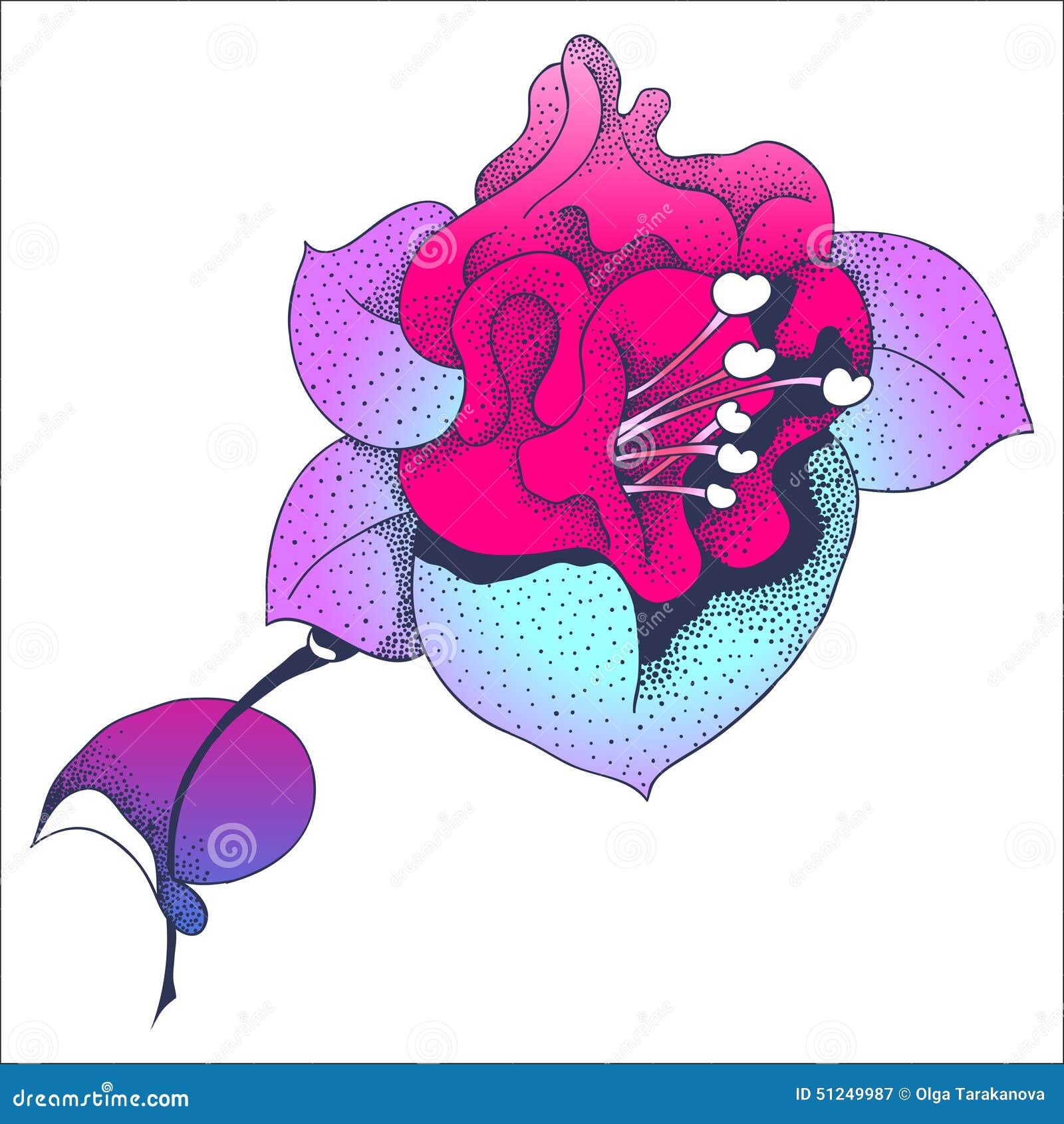 Fuchsia Fulgens Vintage Engraving Cartoon Vector | CartoonDealer.com ...