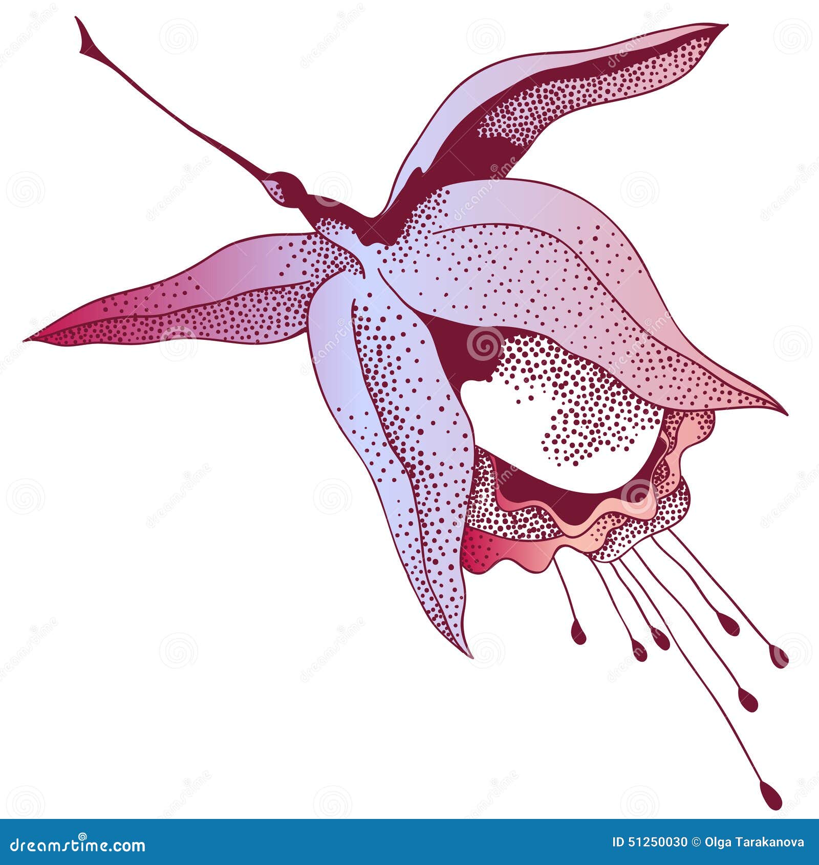 Fuchsia Fulgens Vintage Engraving Cartoon Vector | CartoonDealer.com ...
