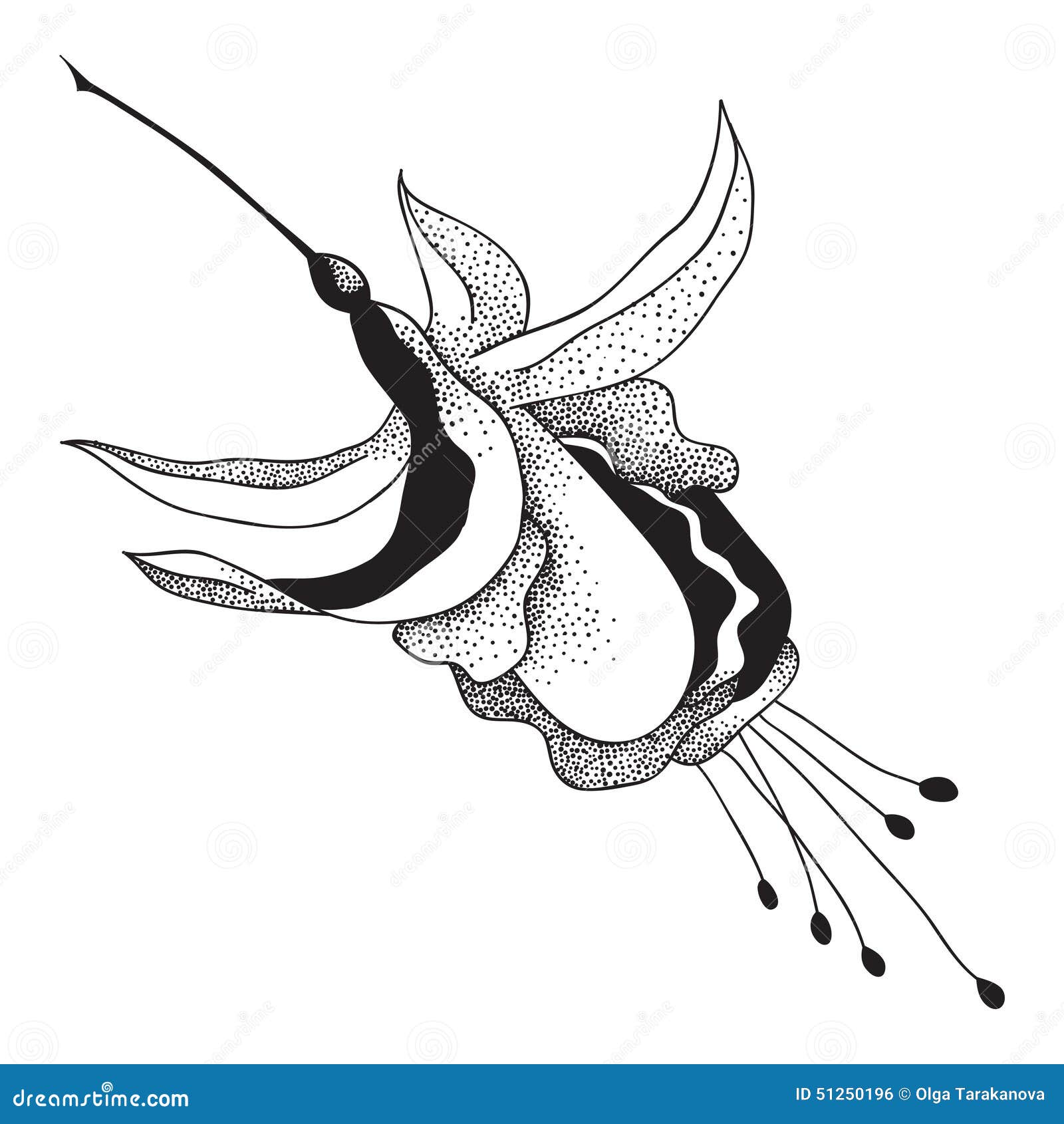 Fuchsia Fulgens Vintage Engraving Cartoon Vector | CartoonDealer.com ...