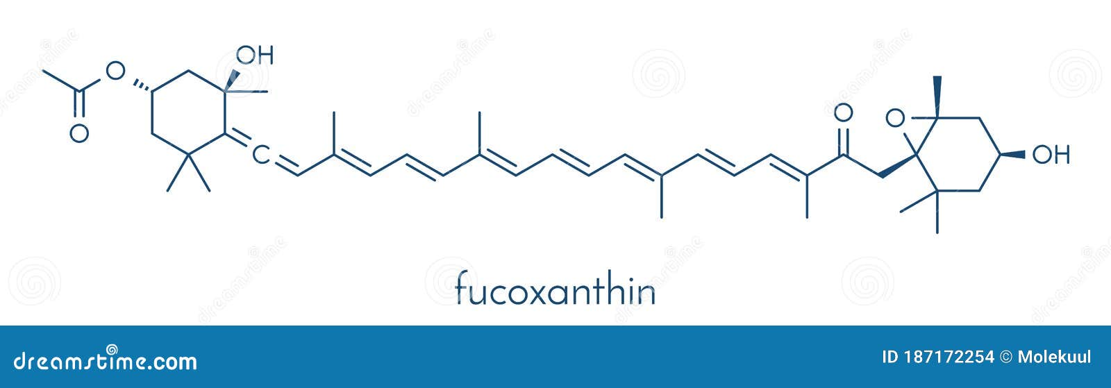 Fucoxanthin Stock Illustrations – 17 Fucoxanthin Stock Illustrations ...