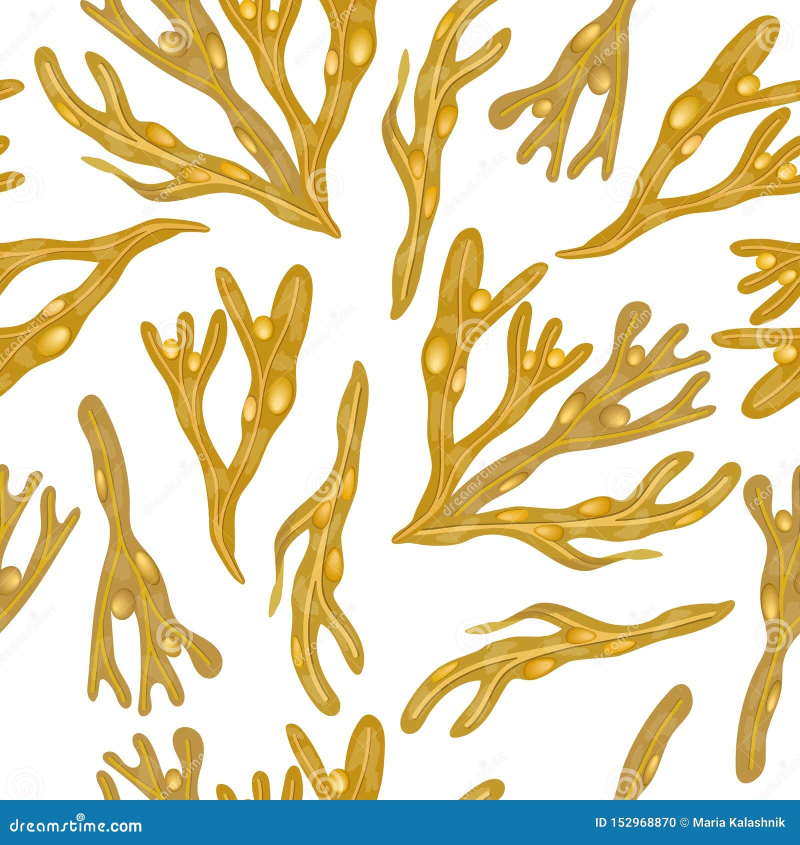 Fucus Vesiculosus Seamless Vector Pattern. Bladderwrack Seaweed Frame ...