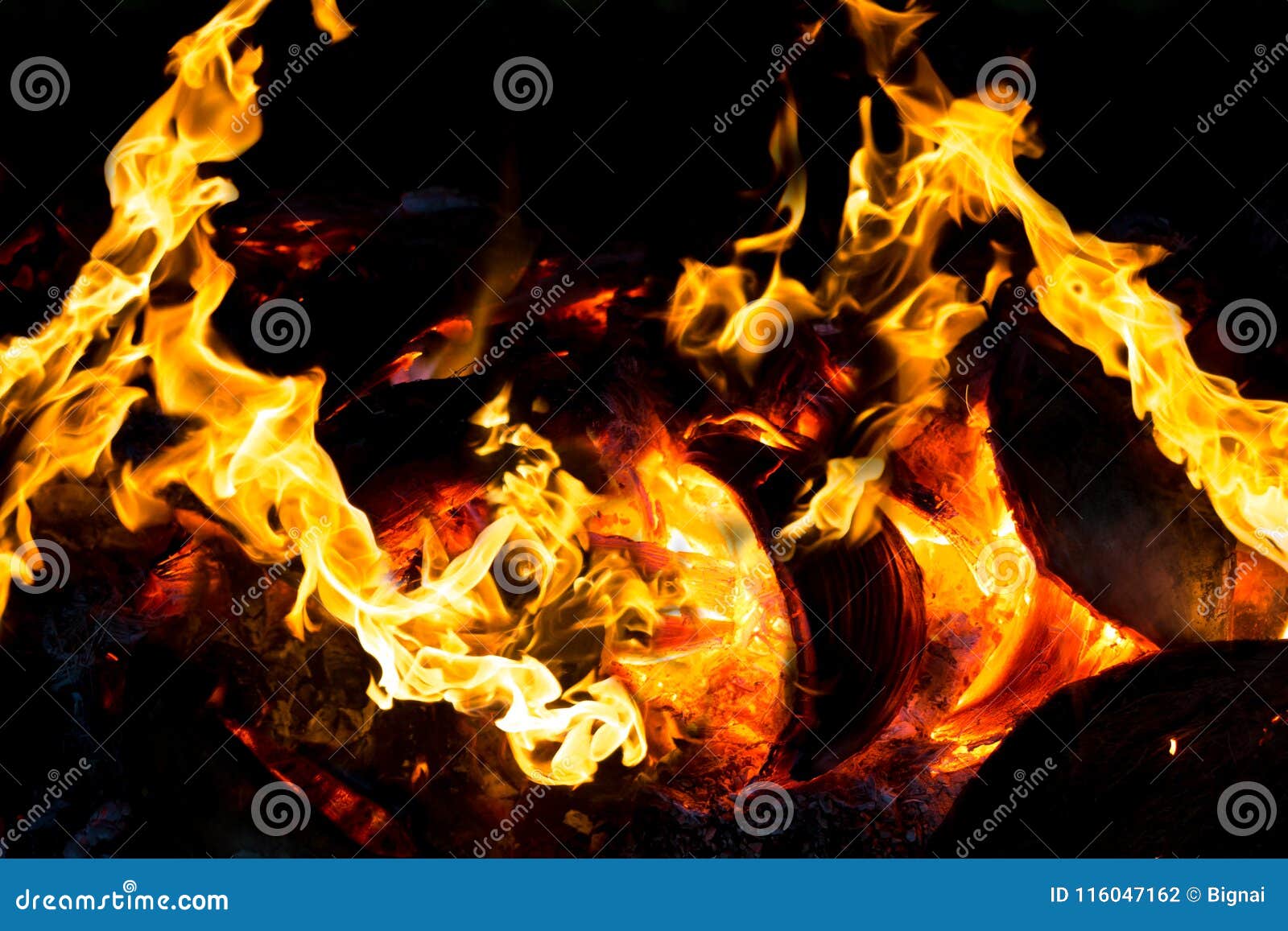 Fuego Que Quema En El Coco Del Spathe Foto de archivo - Imagen de ...