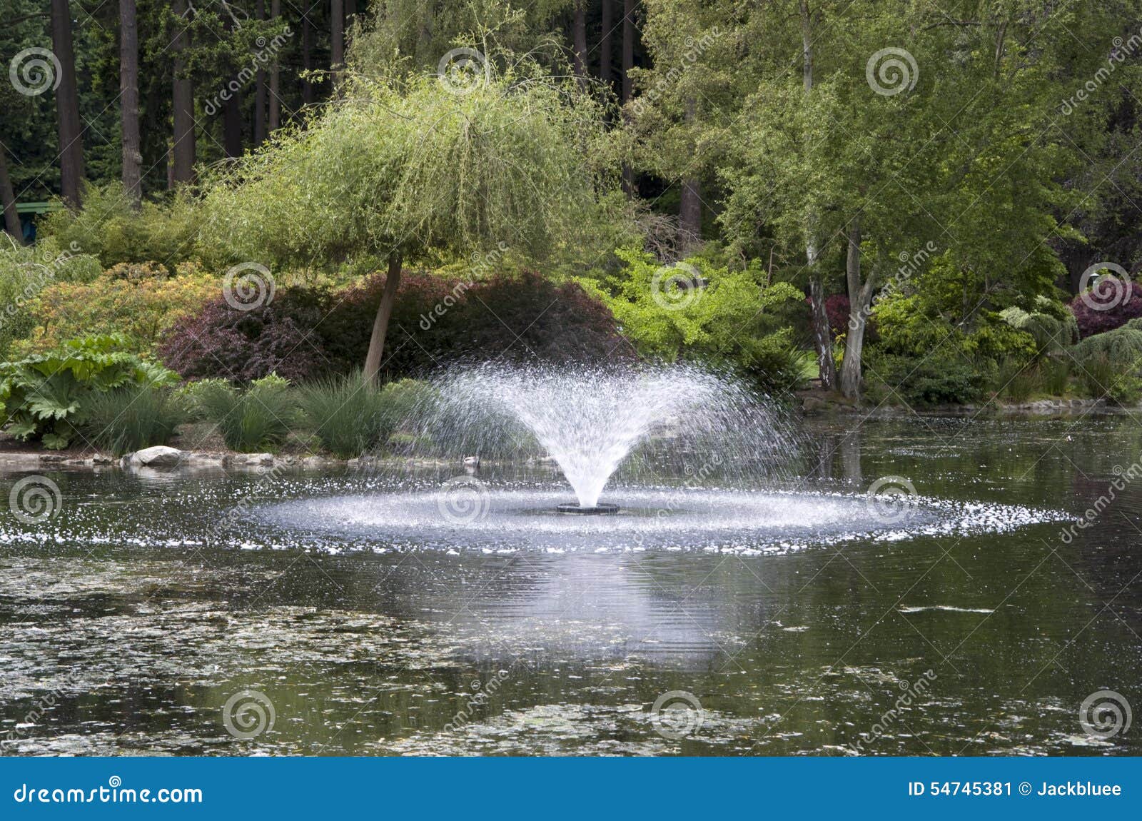 Fuente de agua en parque imagen de archivo. Imagen de charca - 54745381