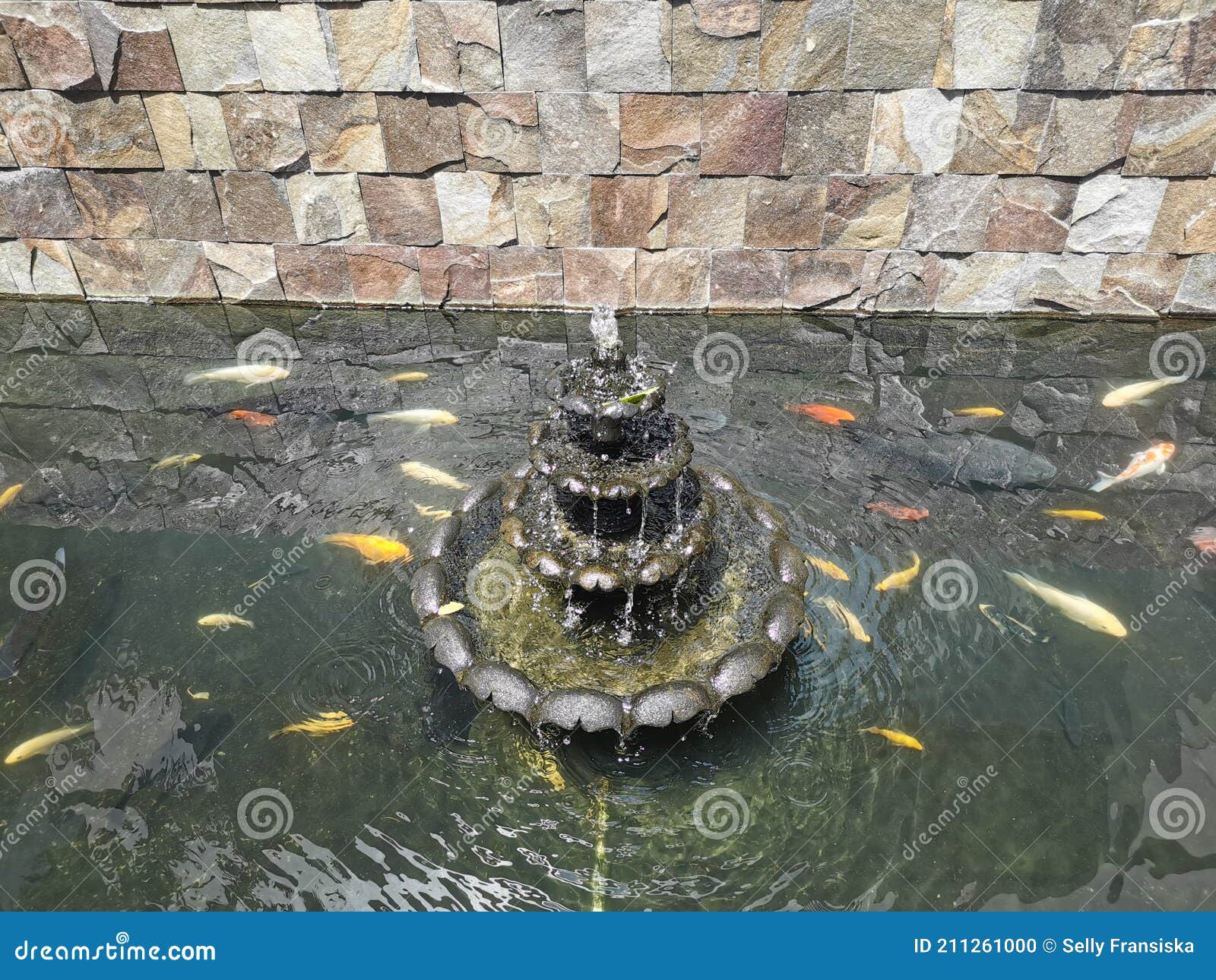 Fuente De Agua Rodeada De Peces Koi Foto de archivo - Imagen de fuente ...