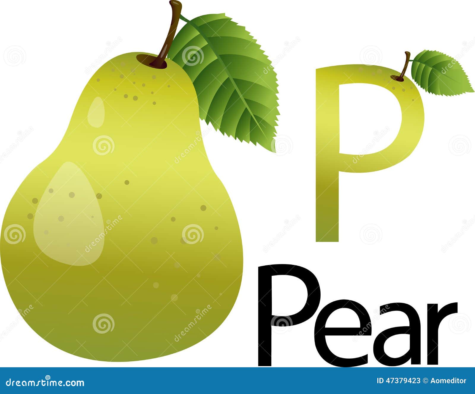 Fuente De Illustrator P Con La Pera Ilustración del Vector ...