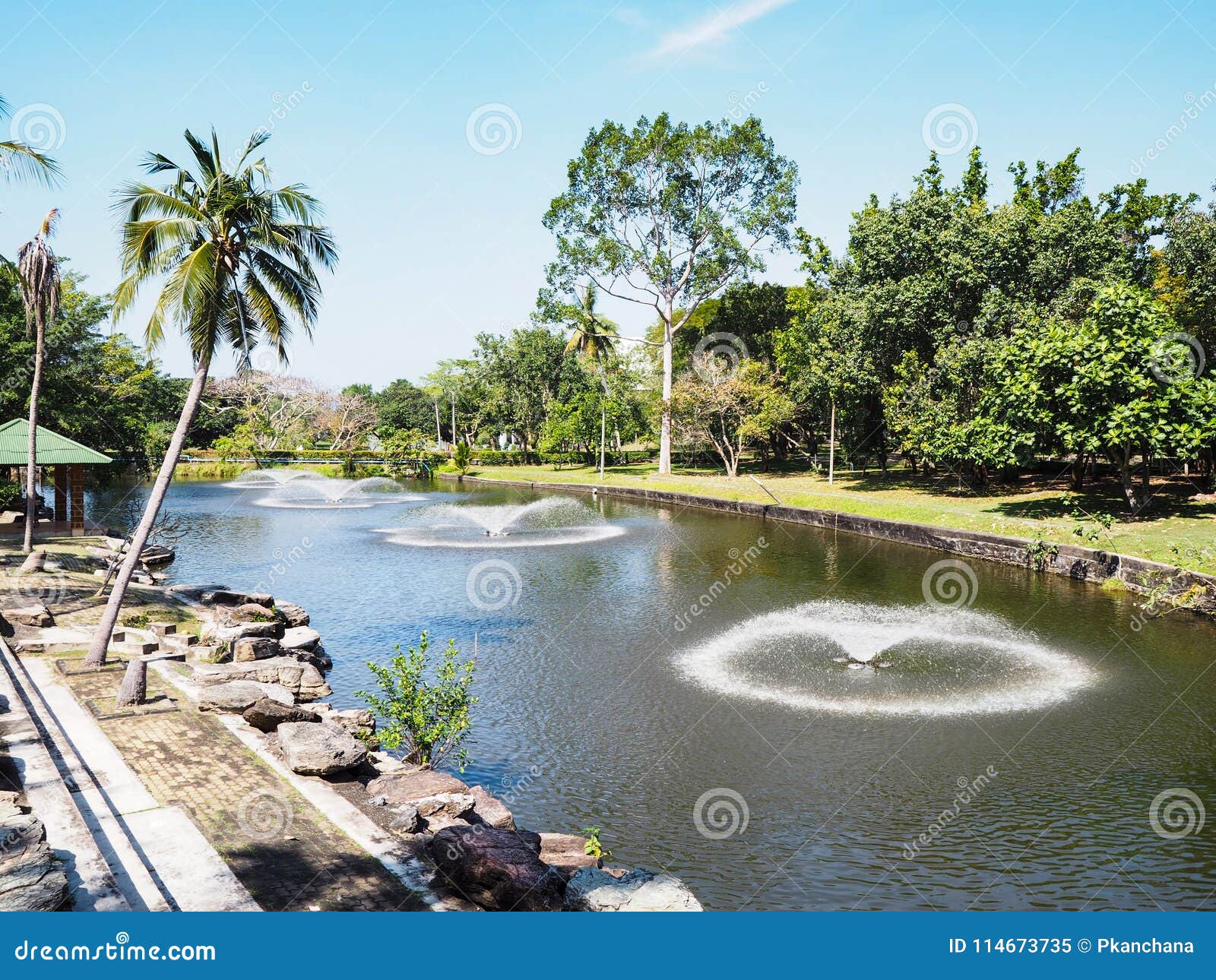 Fuentes De Agua En El Parque Imagen de archivo - Imagen de pavimento ...