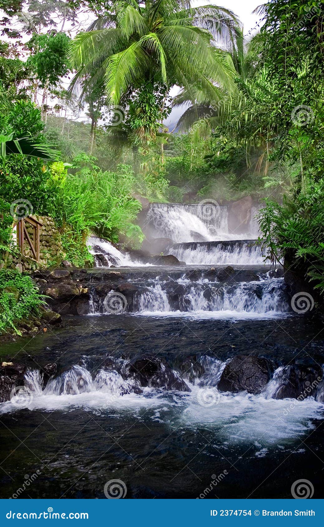 Fuentes Termales De La Selva Foto de archivo - Imagen de resortes, cubo ...