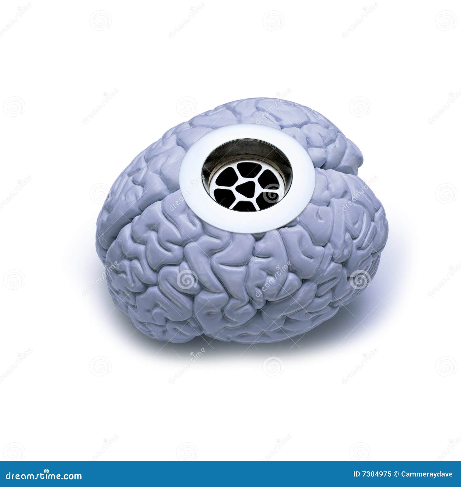 Fuga dei cervelli immagine stock. Immagine di scolo, organo - 7304975