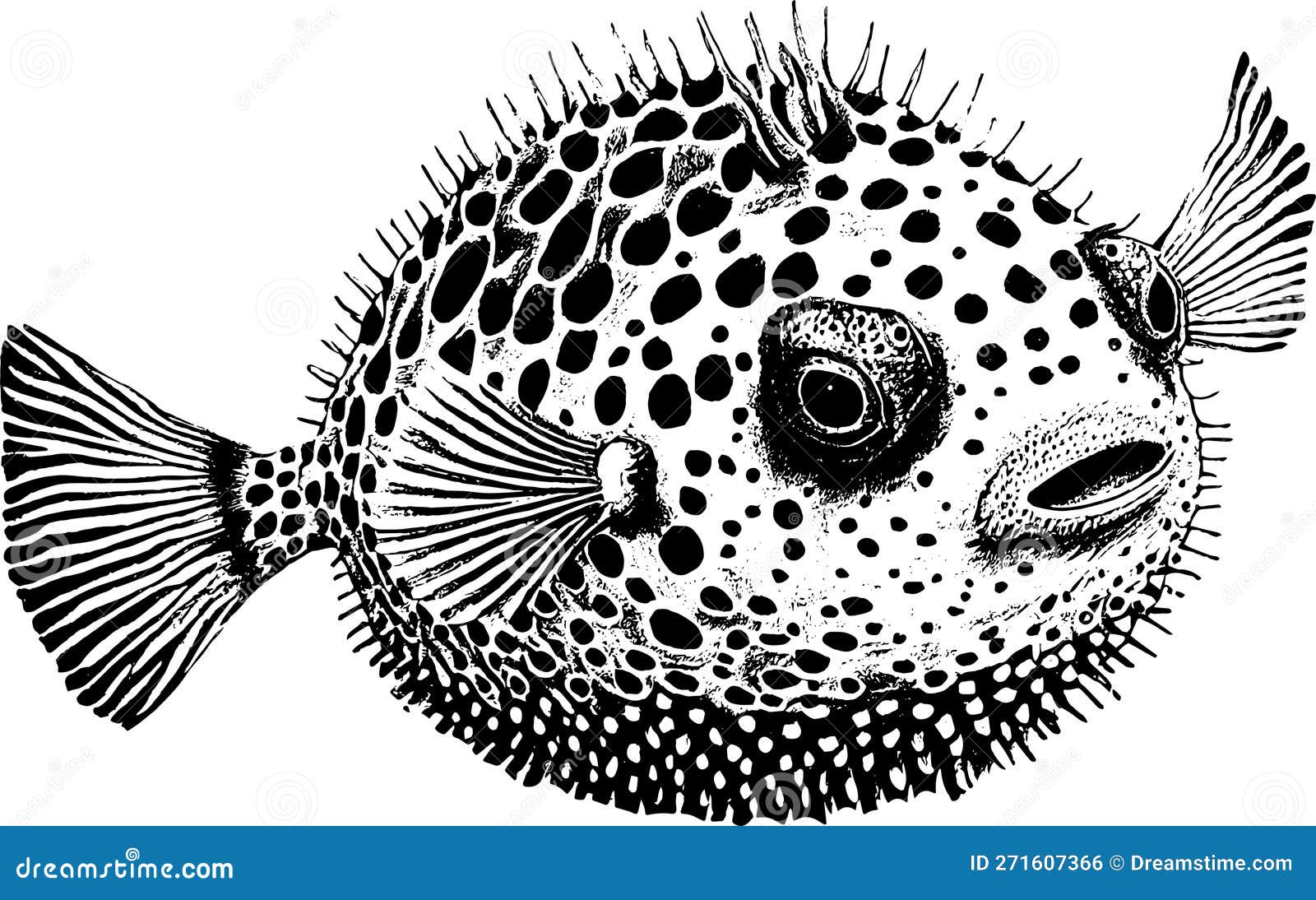 Fugu Fish, Vector Sketch Drawing Stock Photography | CartoonDealer.com ...