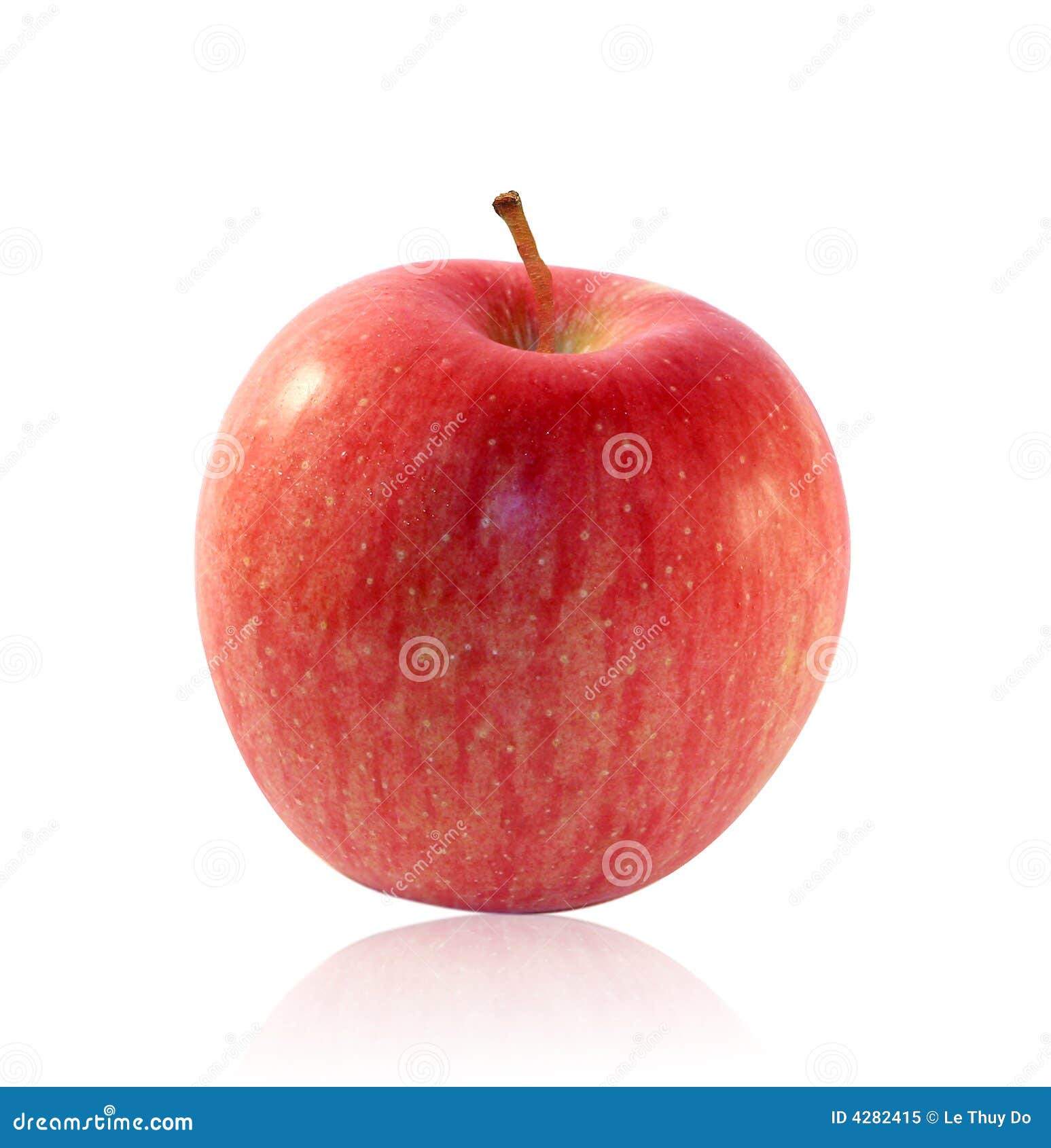 Fuji Apple stock image. Image of healthy, enjoyment, ecosystem - 4282415