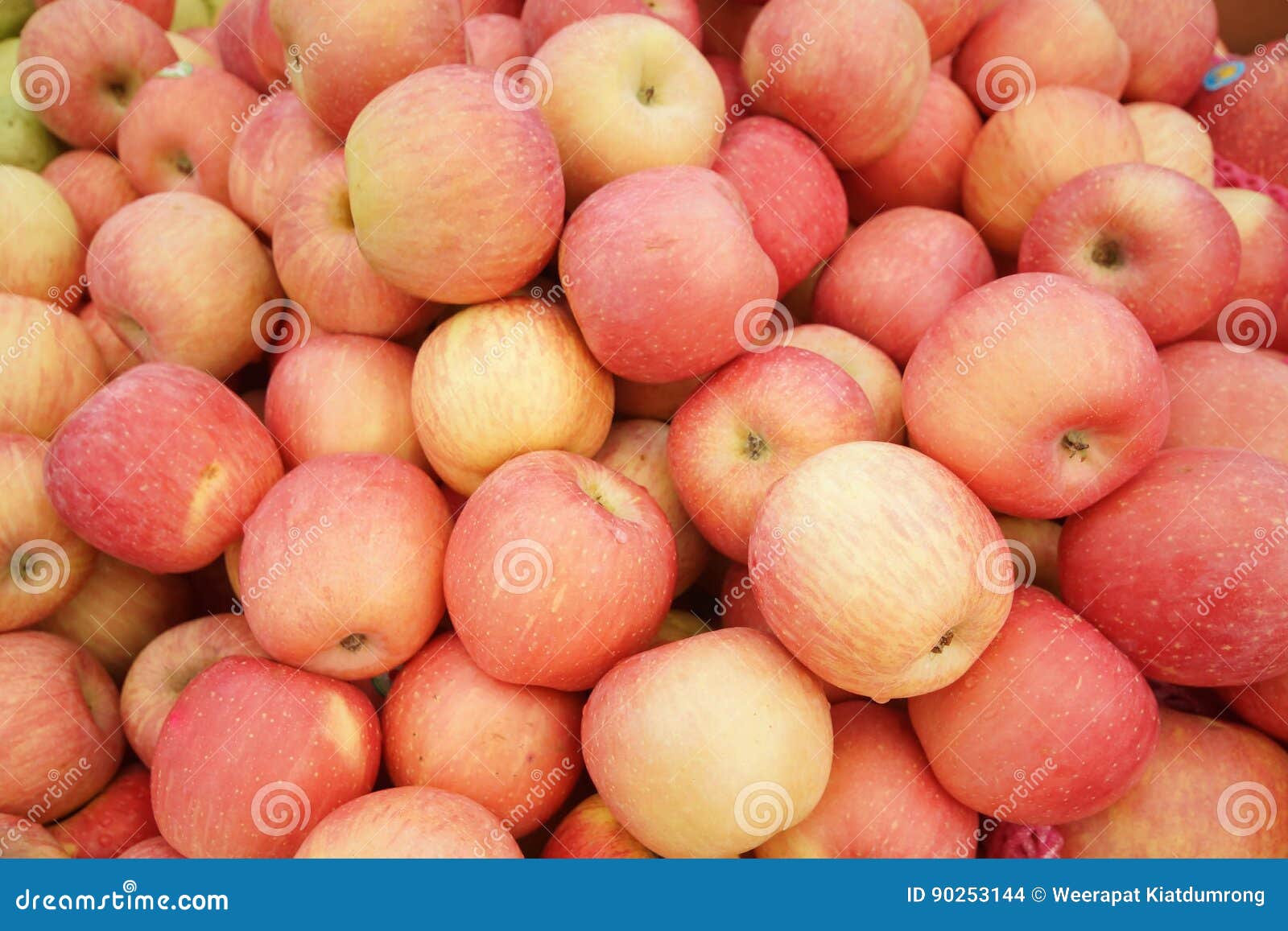 Fuji apples stock photo. Image of apple, food, fruit - 90253144