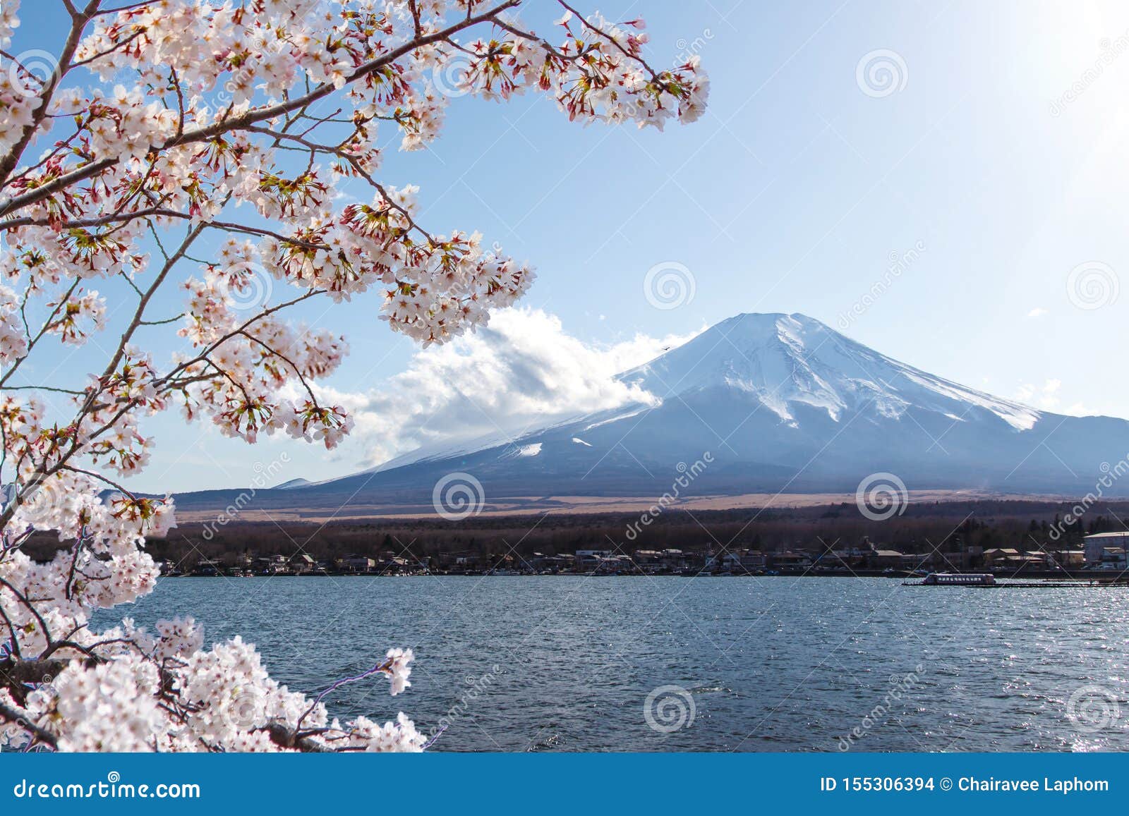 Flowering Tree with Mount Fuji in the Backgroundà¸¡ Fuji Stock Photo ...