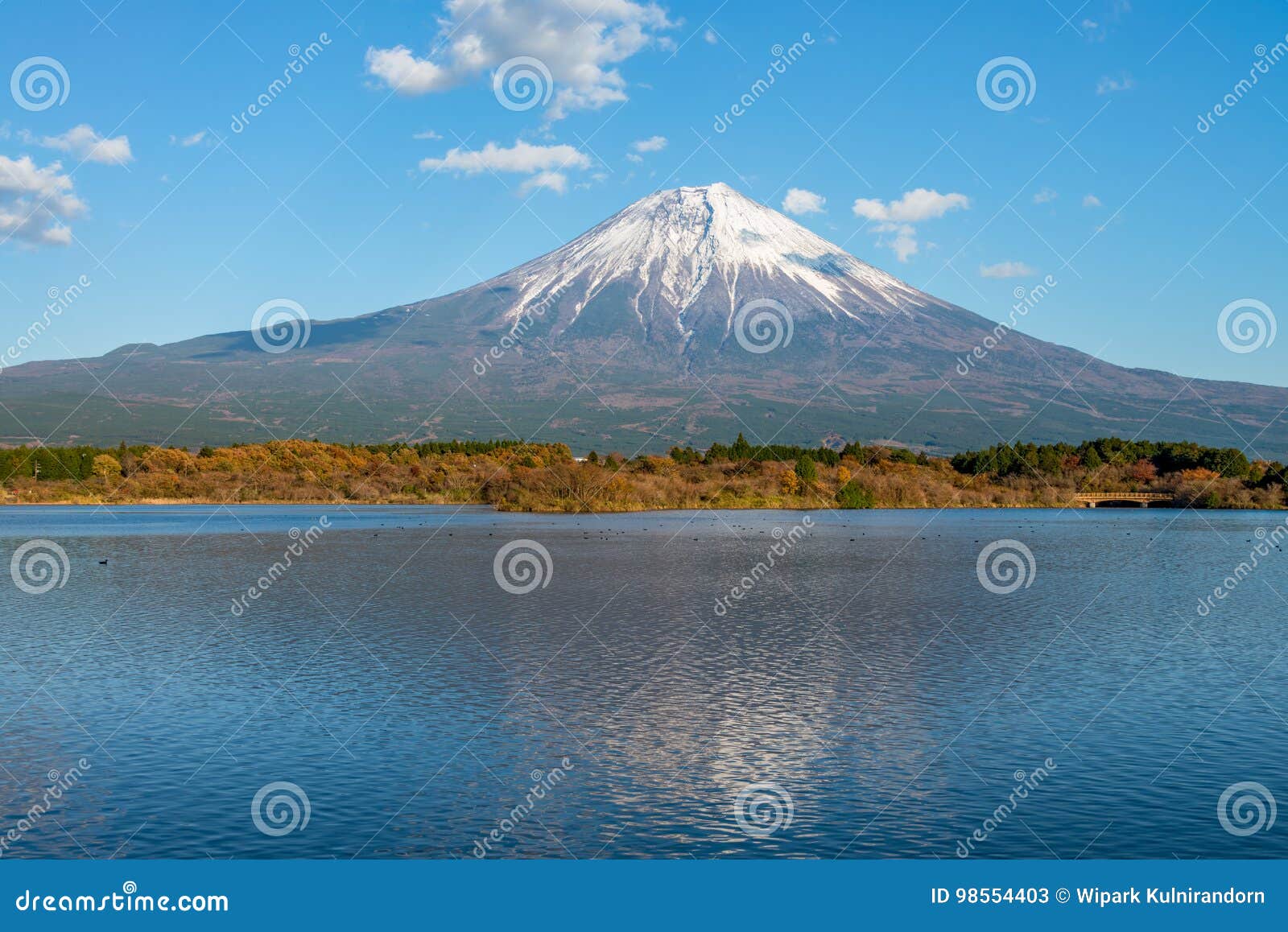 Lake Tanuki In Fujinomya City, Japan. Fuji-Hakone-Izu National Park ...