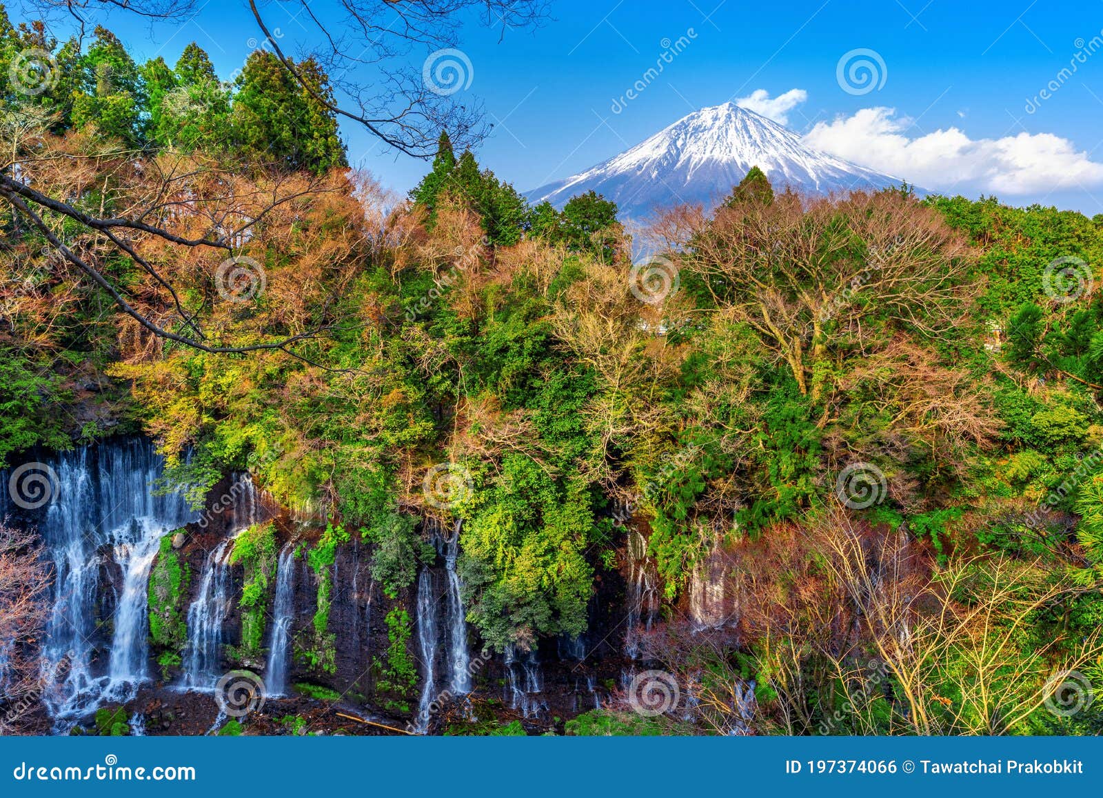 Fuji Mountain and Shiraito Waterfall in Japan. Stock Photo - Image of ...
