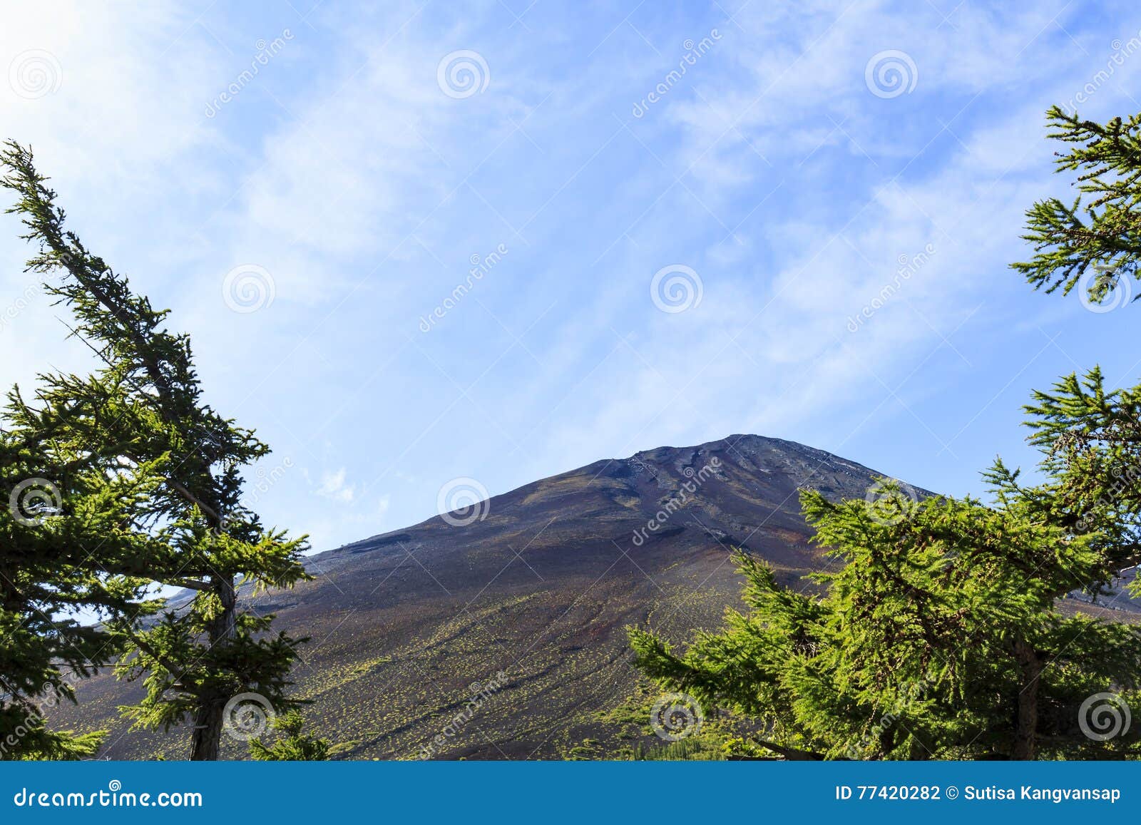 Fuji Mountain without Snow with Pine Trees and Sky Stock Photo - Image ...