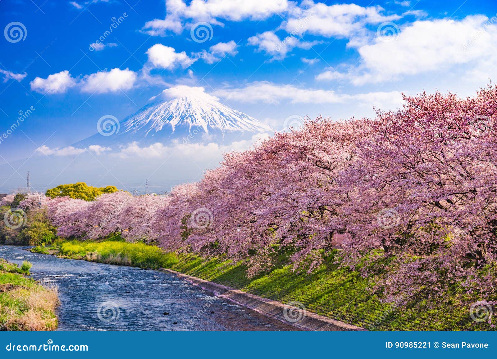 Fuji Mountain in Spring stock image. Image of season - 90985221