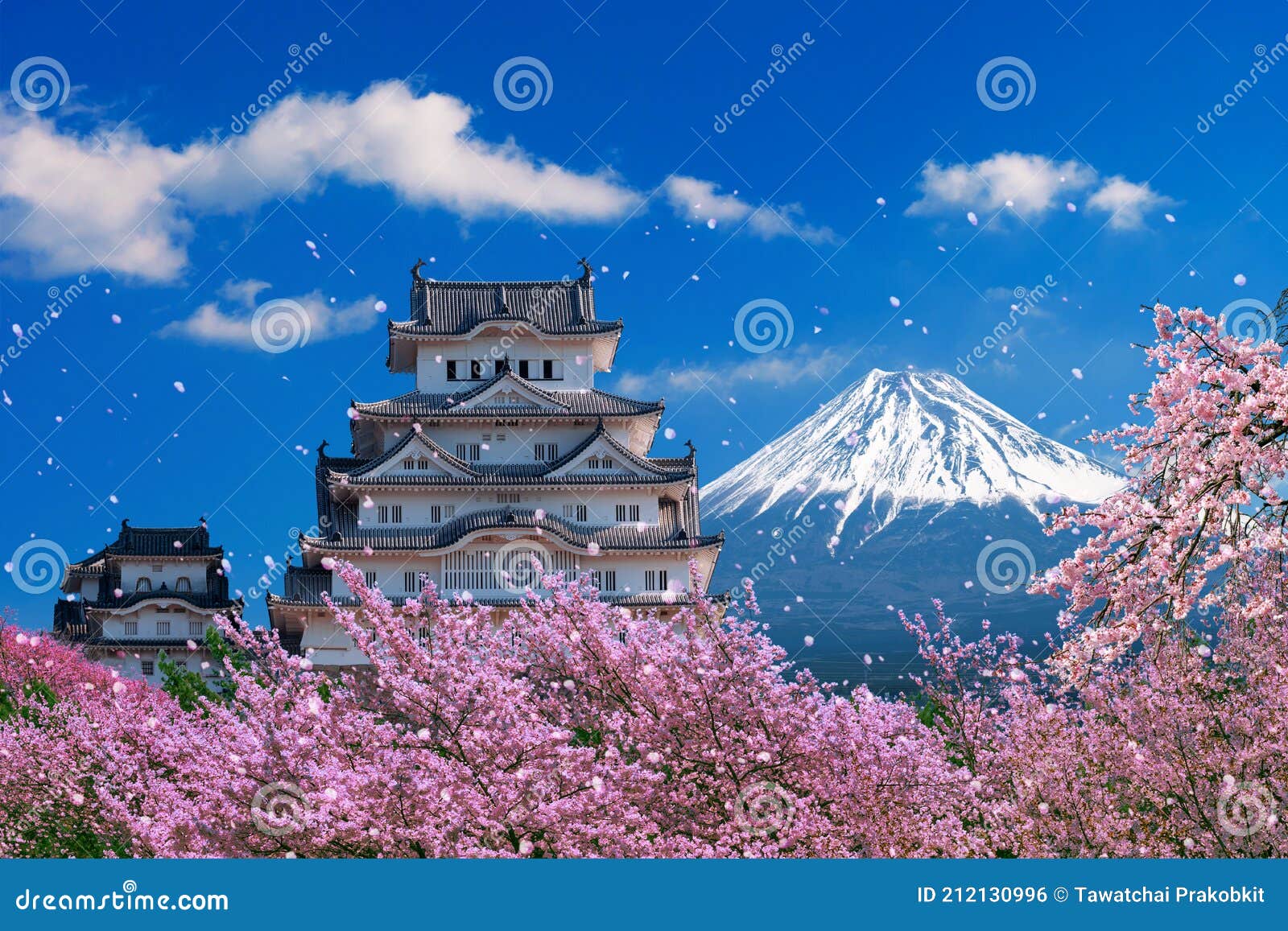 Fuji Mountains and Castle with Cherry Blossom in Spring, Japan Stock ...