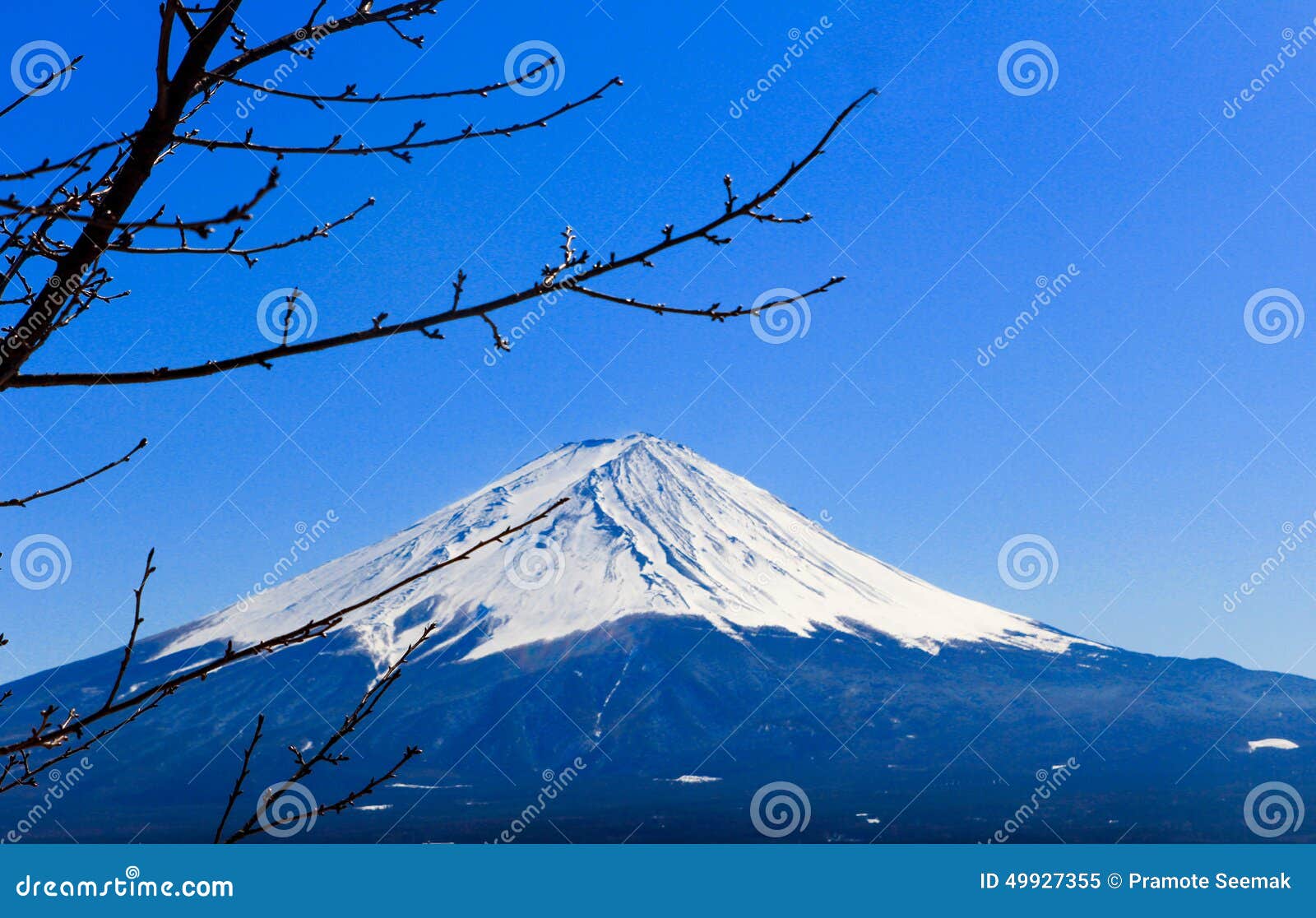 Fuji San in the Winter, Japan Stock Image - Image of peak, cherry: 49927355