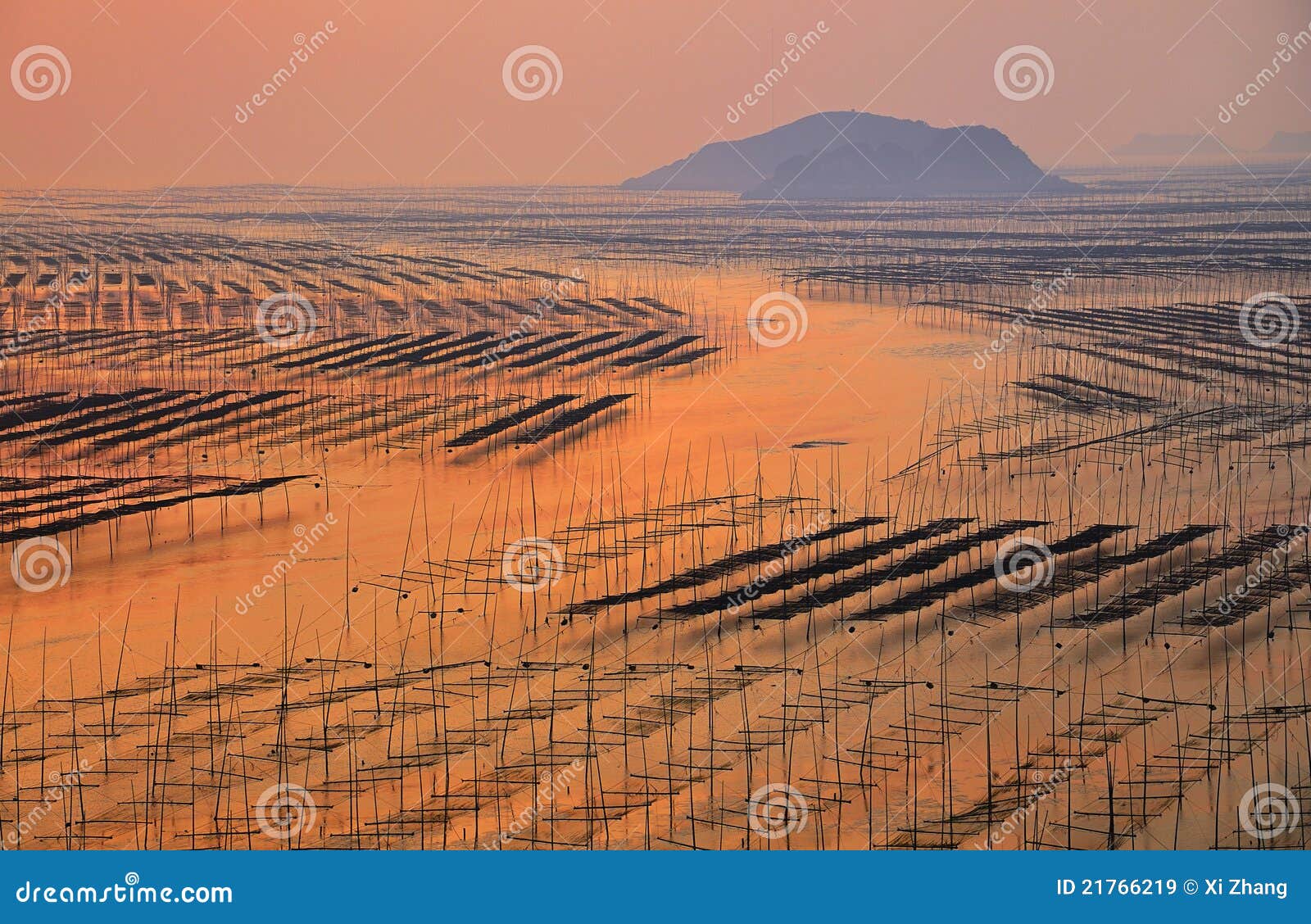 Fujian Xiapu Beach Sunrise,China Stock Image - Image of kelp, beautifil ...