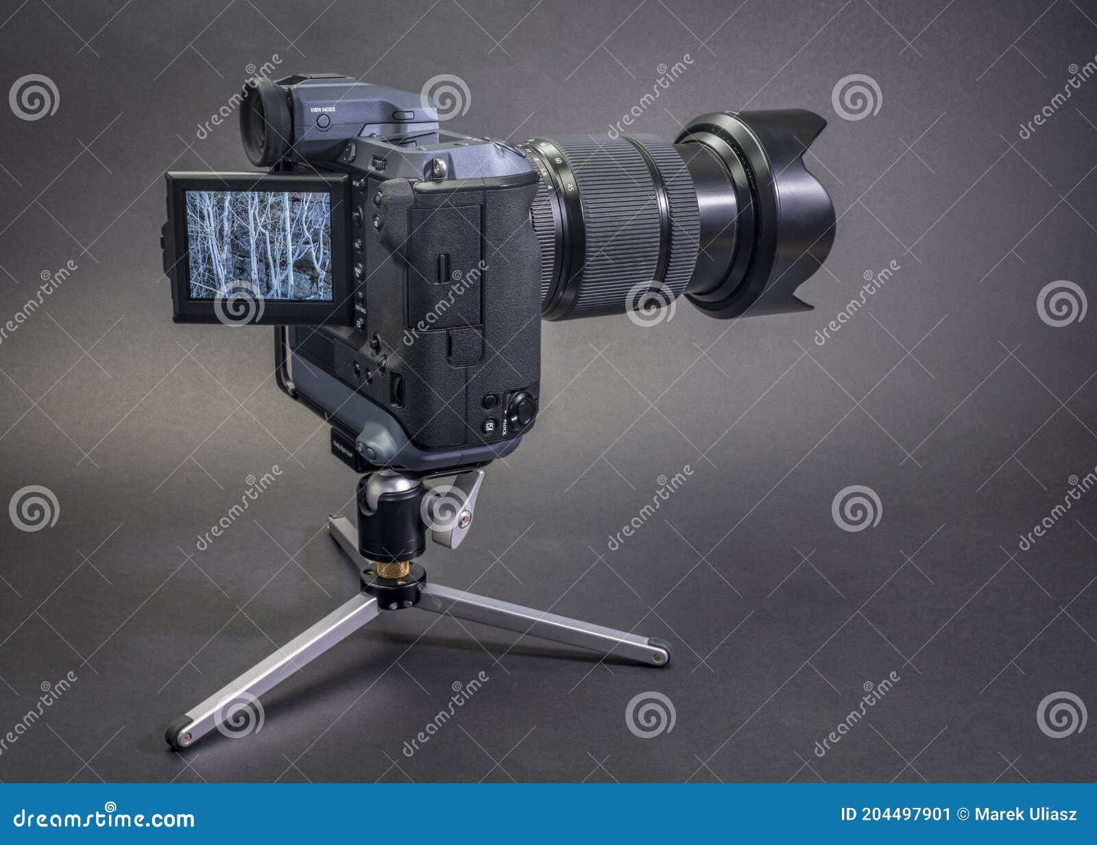 Fujifilm Gfx Stock Photos - Free & Royalty-Free Stock Photos from ...