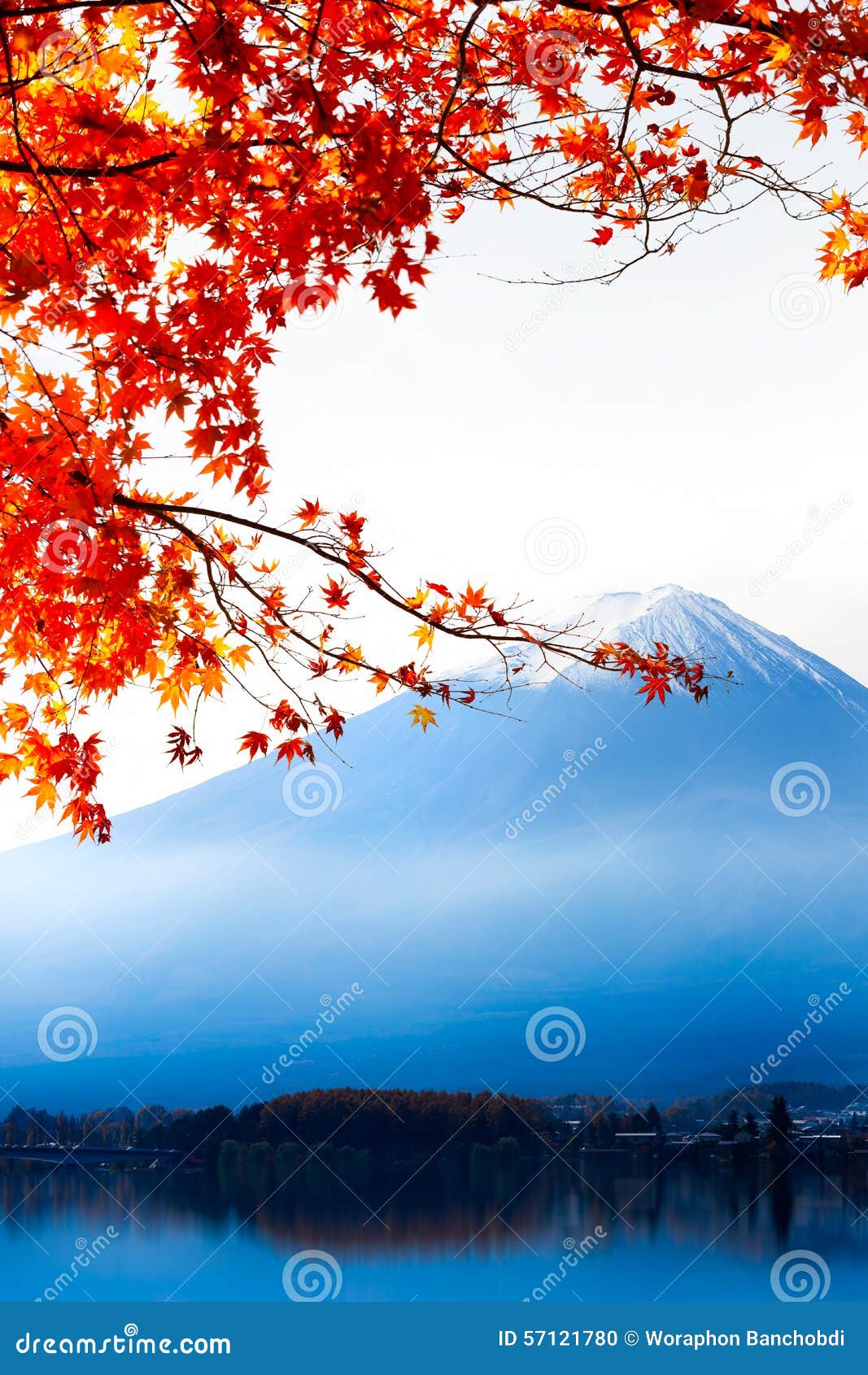 Fujisan stock photo. Image of maple, scenic, asia, mount - 57121780