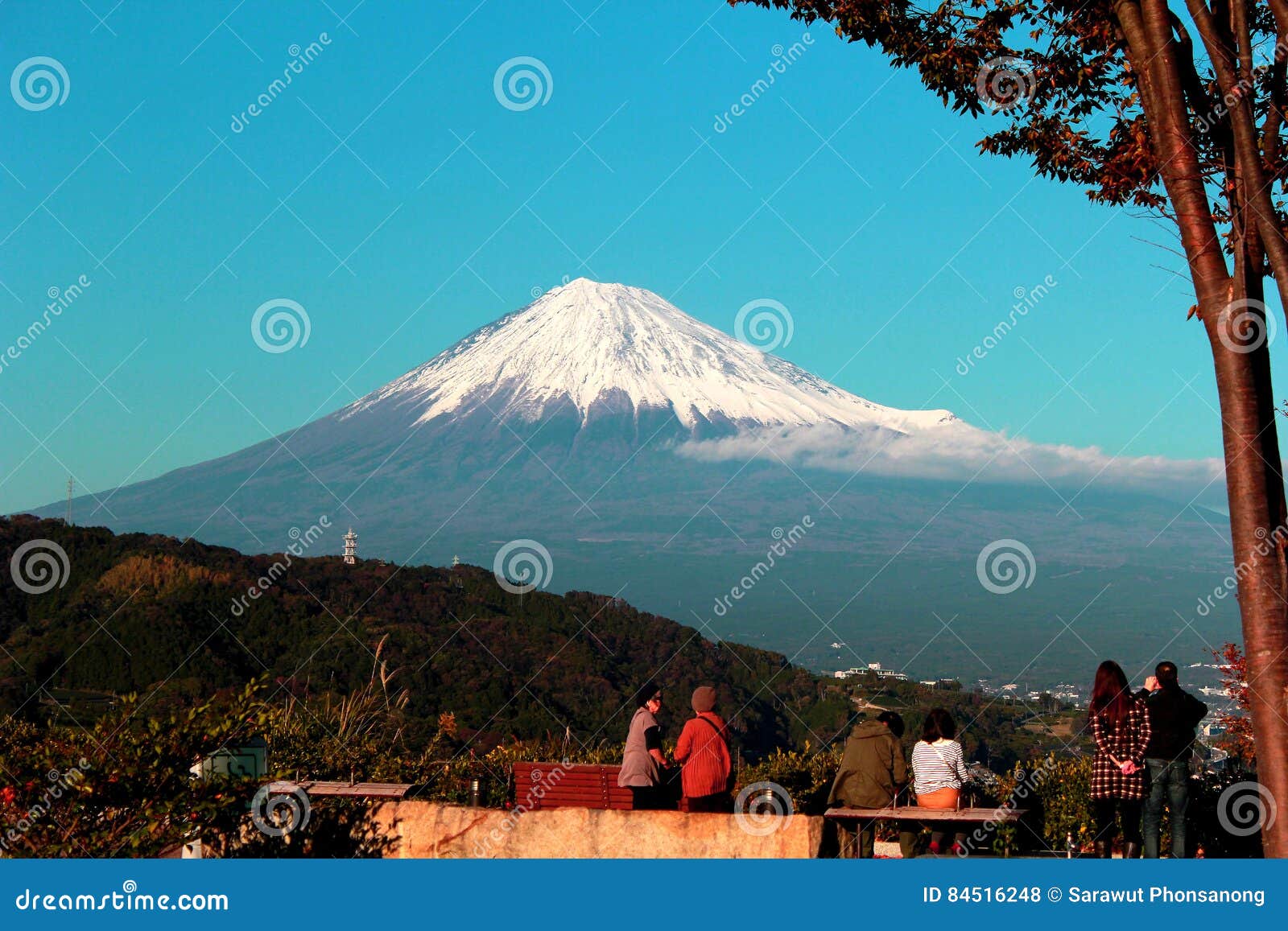 Fujisan editorial stock photo. Image of tokyo, snow, winter - 84516248
